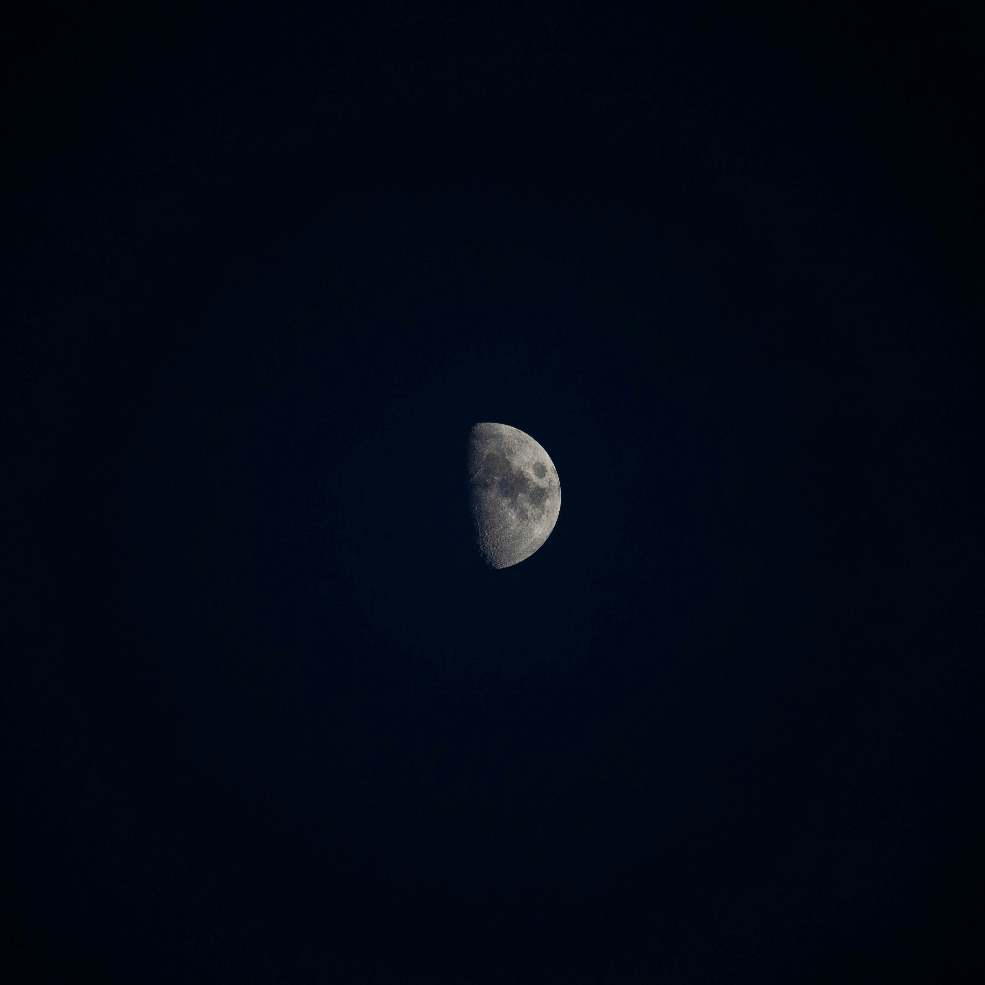 Crescent Moon in a Velvet Night