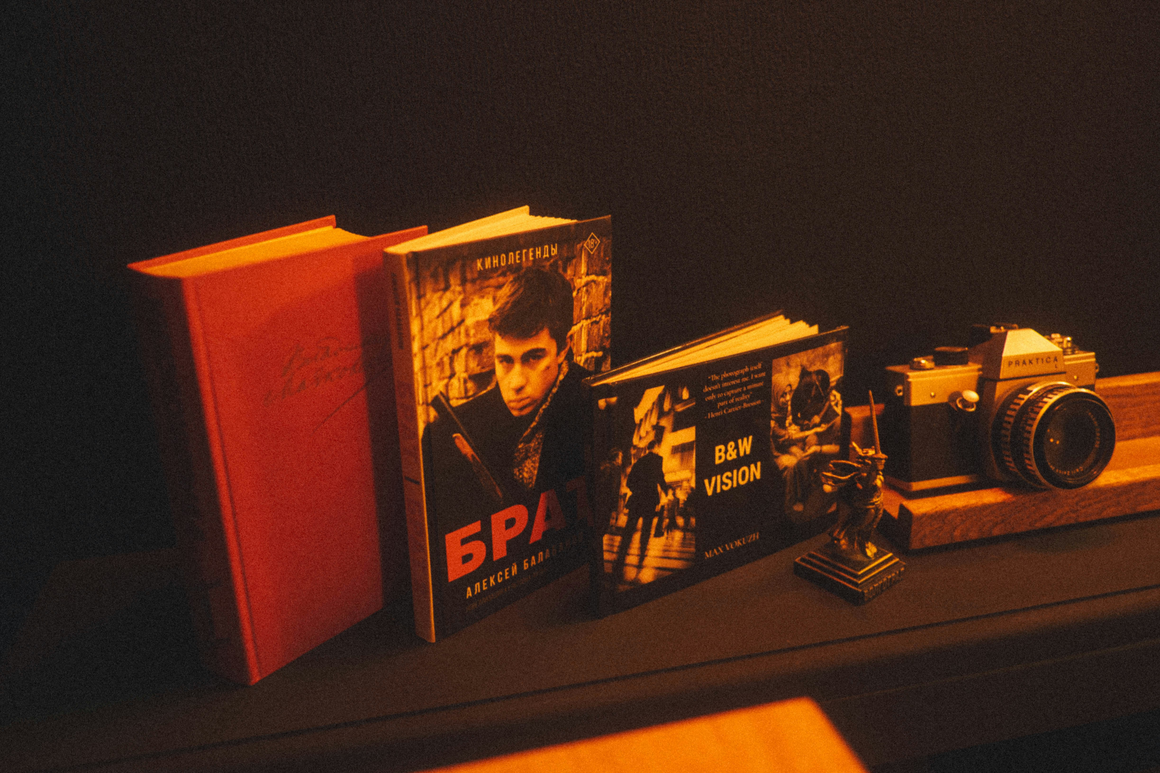 Shelf of stories: a warm still-life with vintage camera and books
