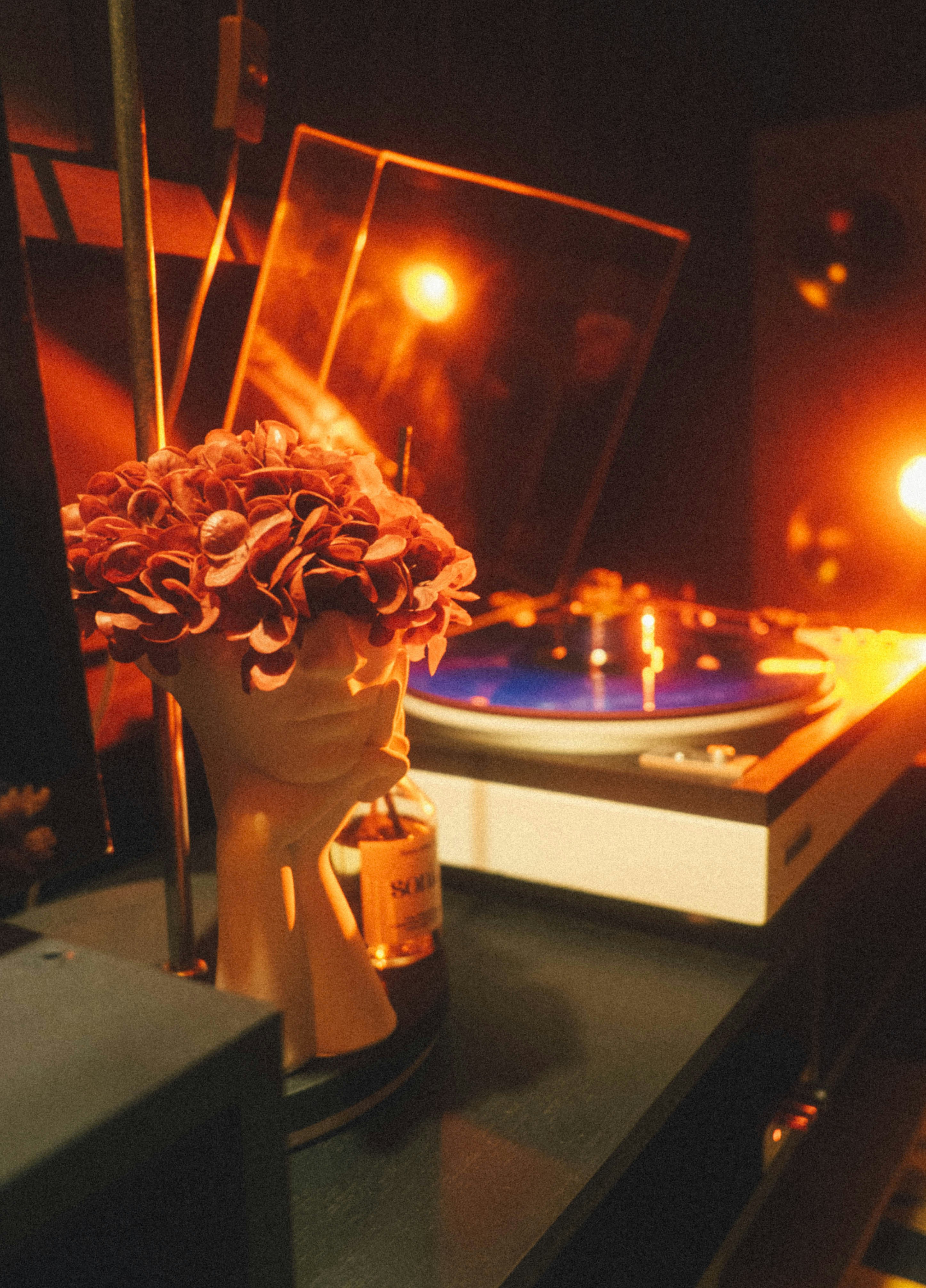Glowing Vase of Hydrangea Above a Turntable Night