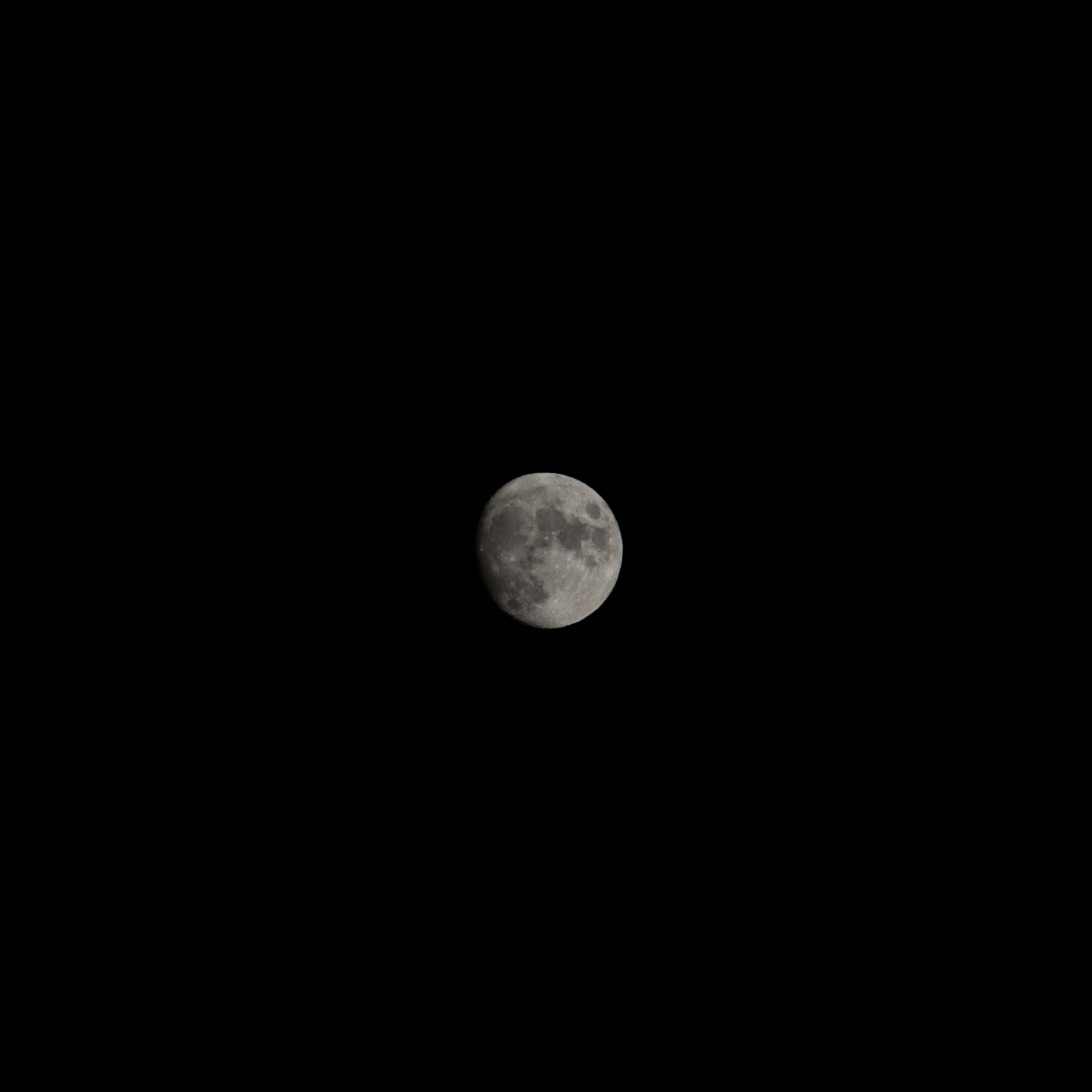 Lone Moon Suspended in Velvet Night
