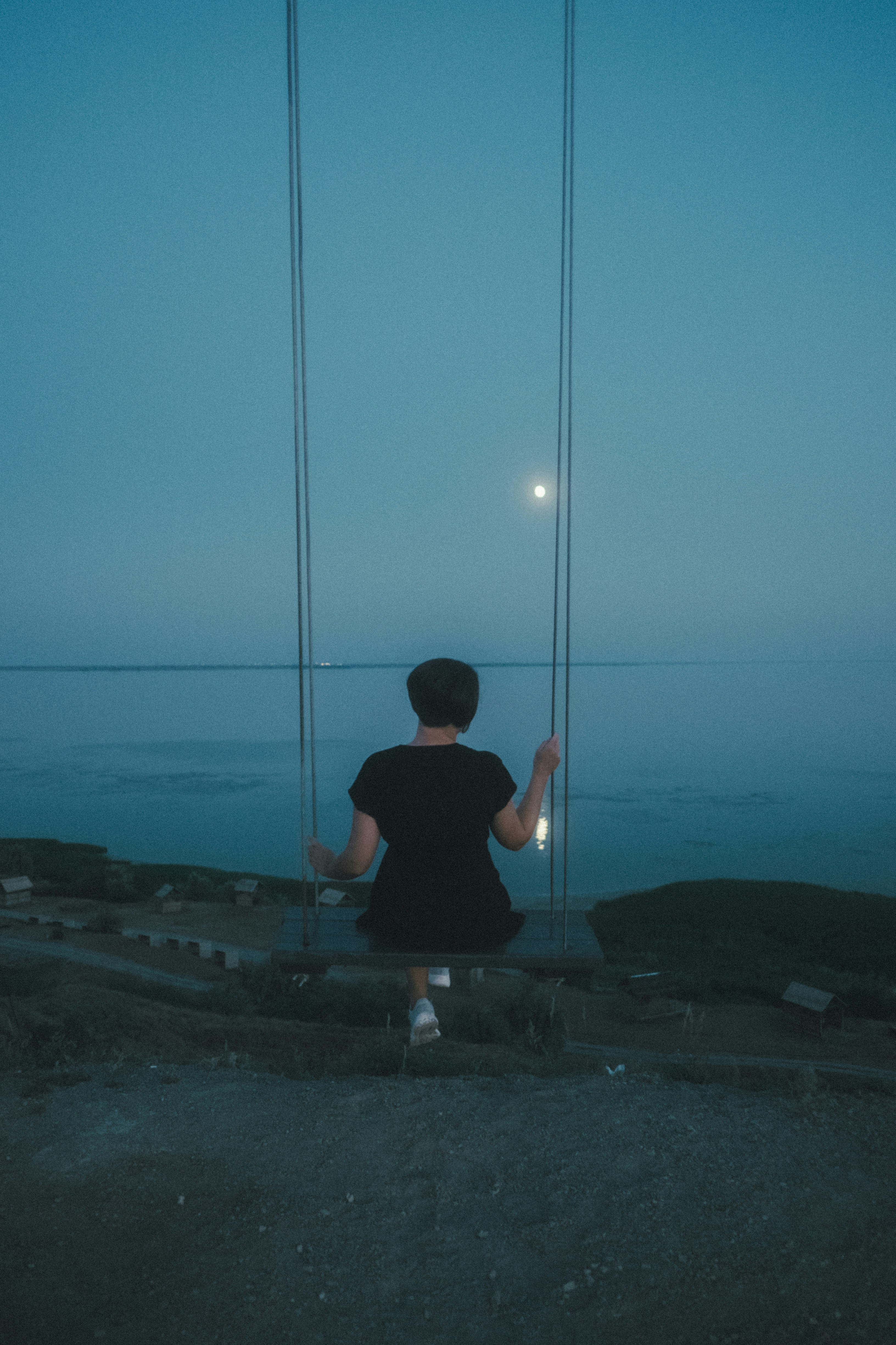Moonlit Swing: A Nighttime Figure on a Coastal Swing