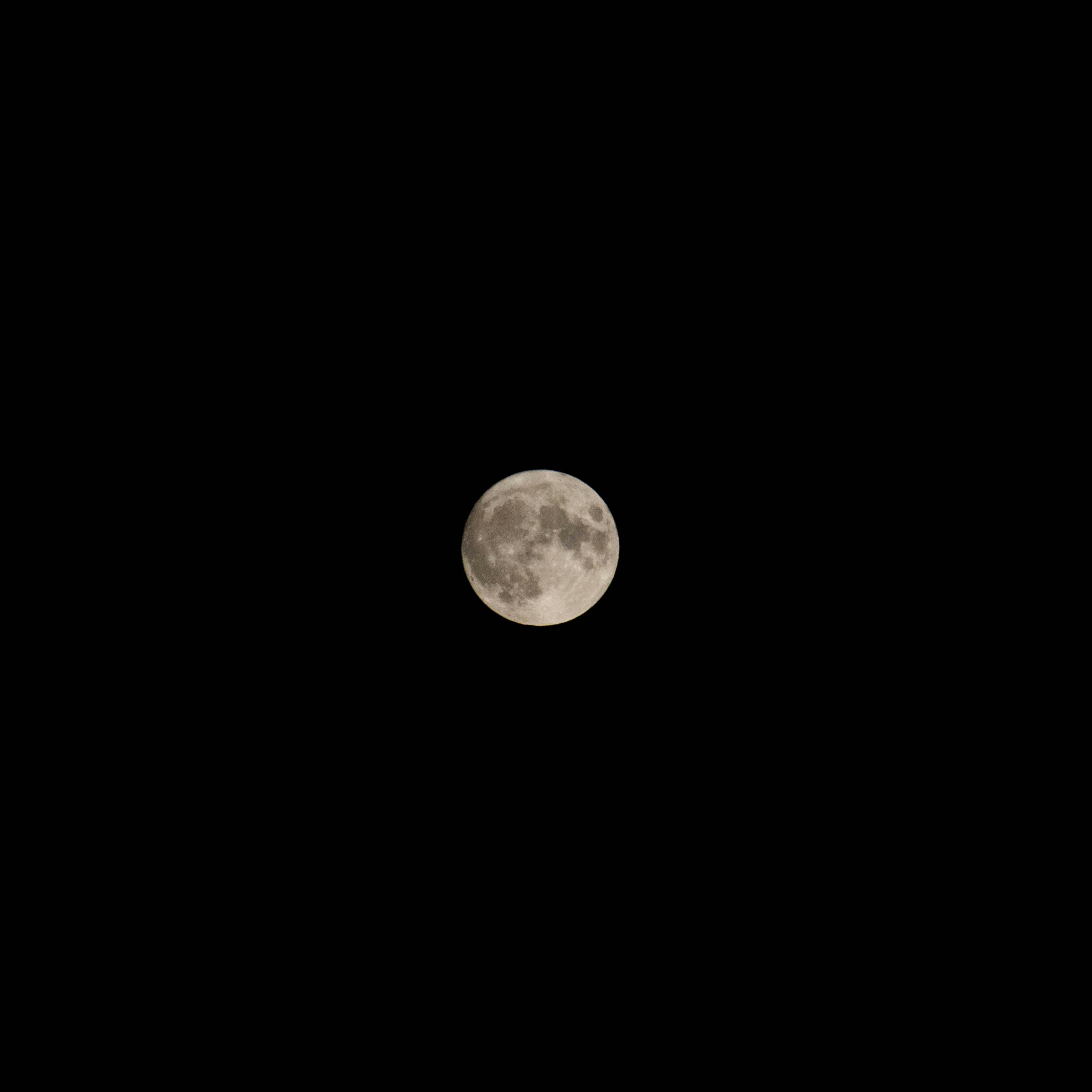 Bare Moon in a Sea of Night