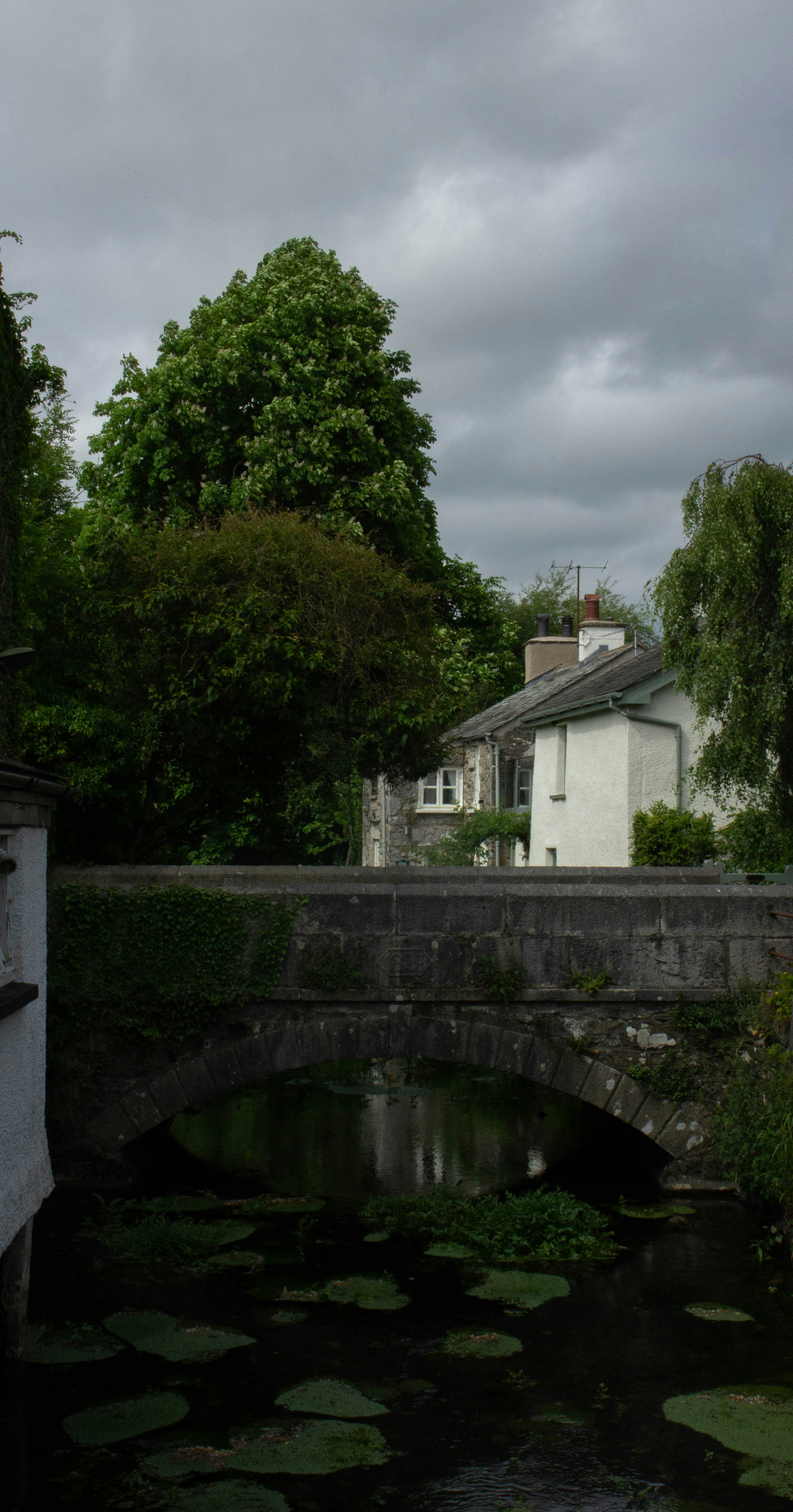Overgrown River Crossing under a Quiet Village Sky