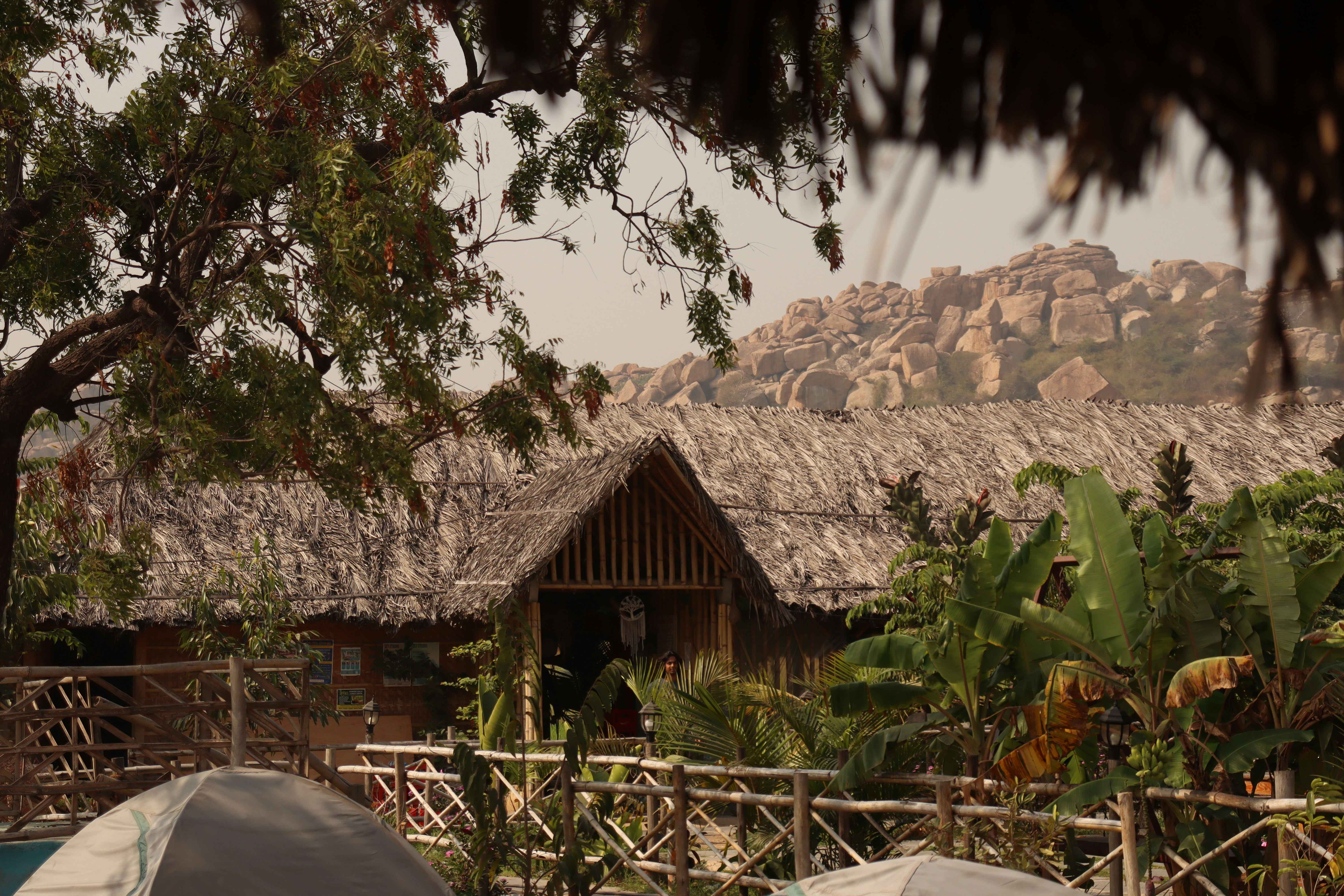 Thatched Lodge Overlook Amid Tropical Garden