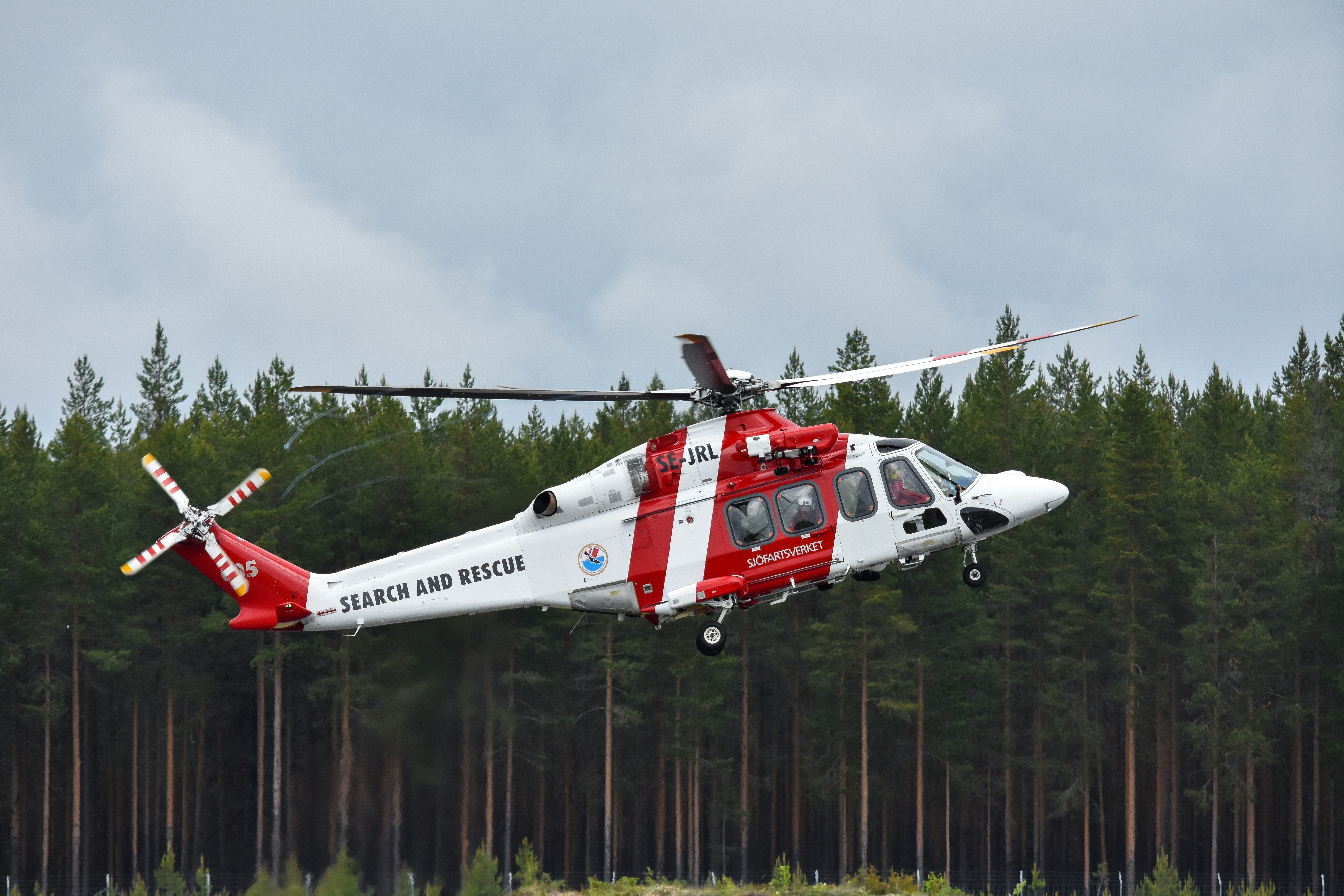 Rescue chopper glides low above a pine forest during training