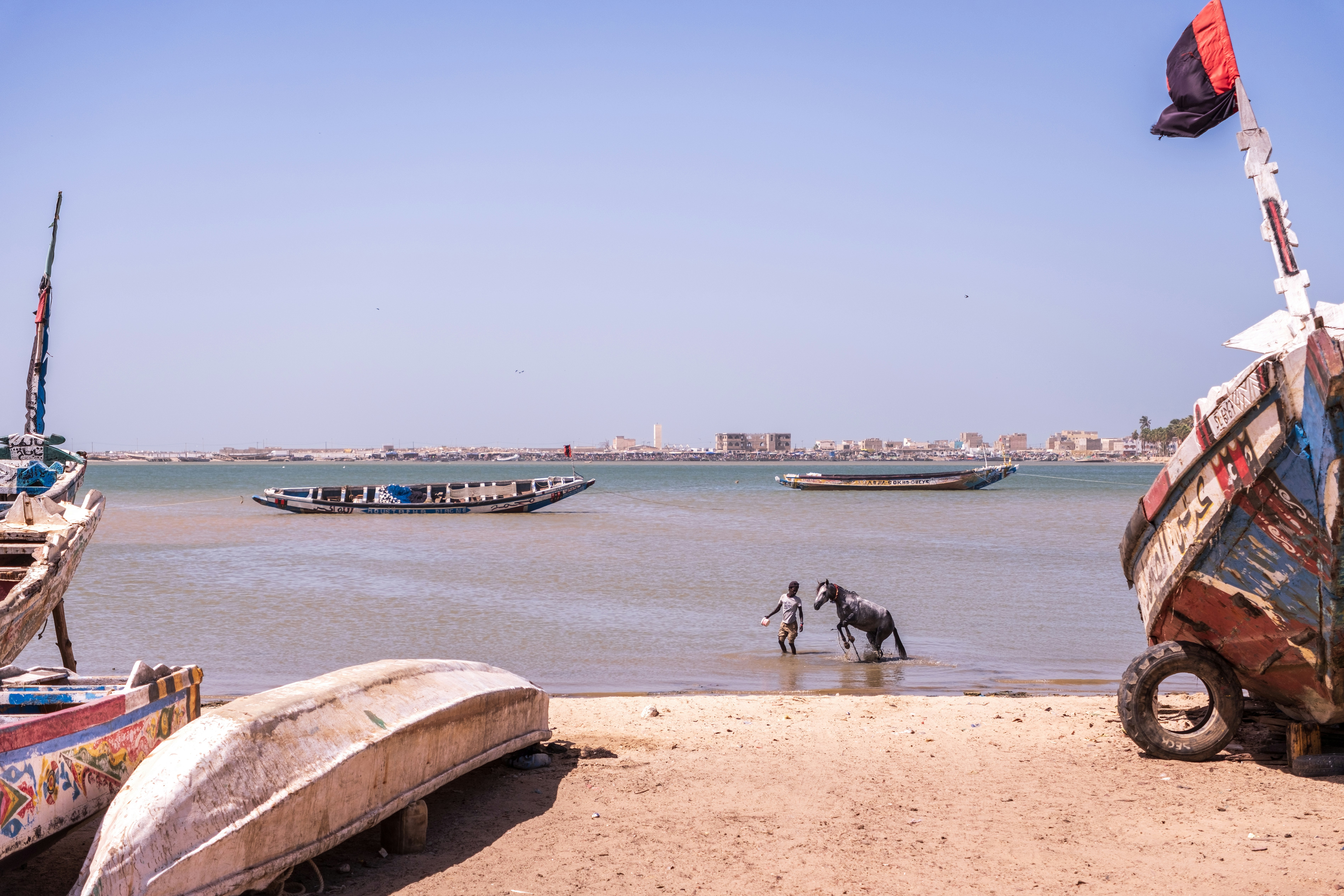 Harbor Quiet: Boats at the Shore and a Horse by the Tide