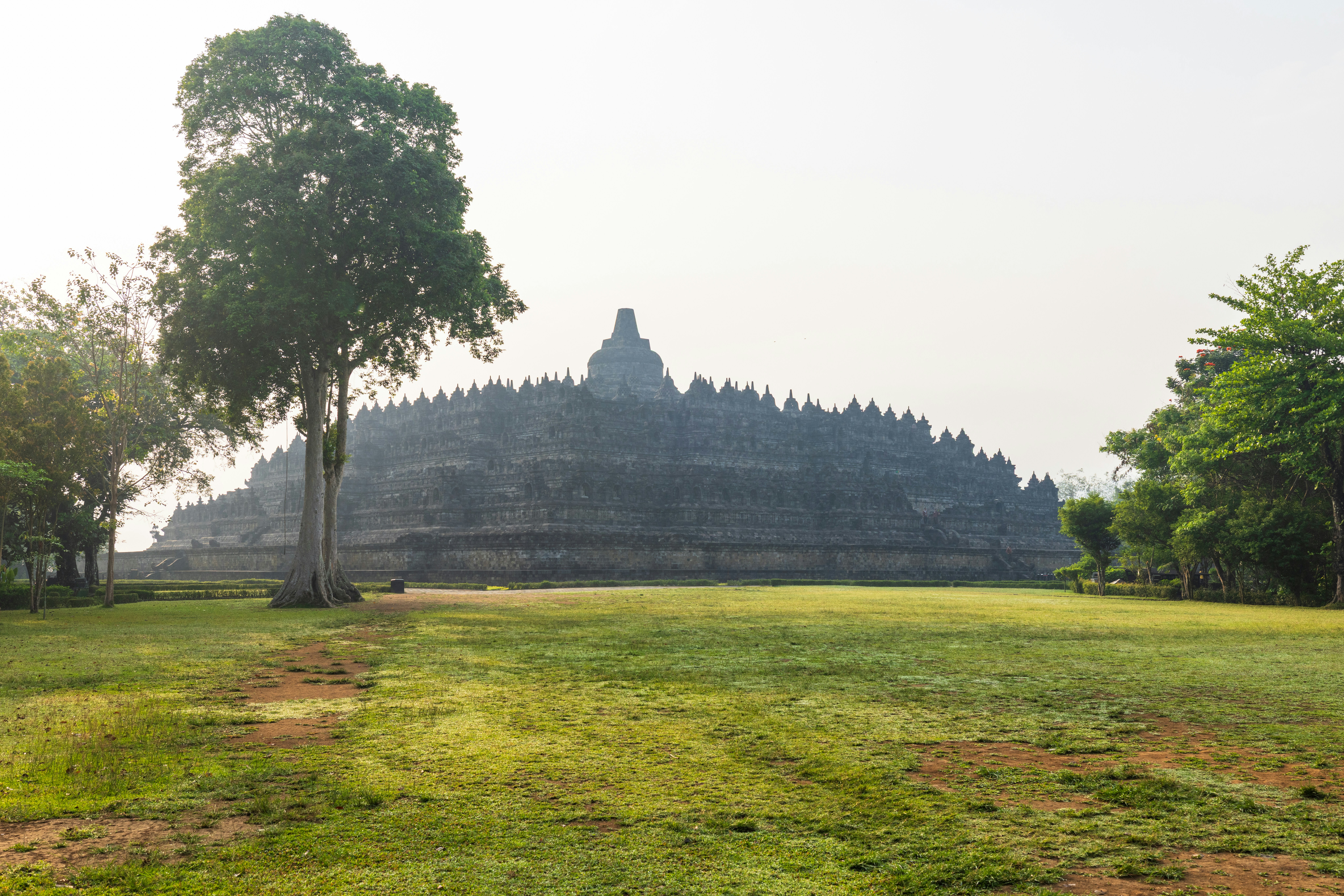 Ancient borobudur temple with green field and trees.