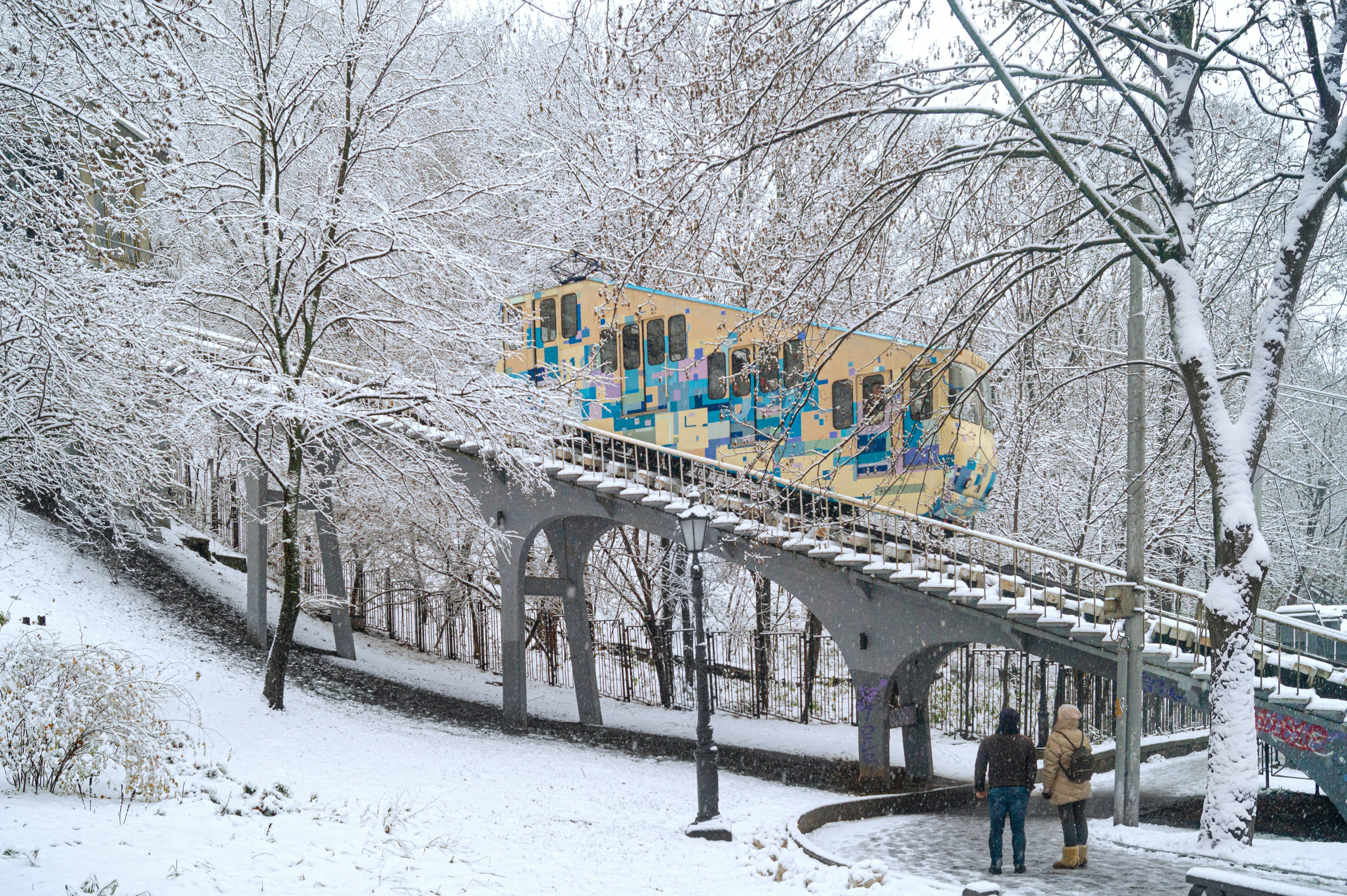Snowbound Transit: Graffiti Train Crossing a Frosted Viaduct