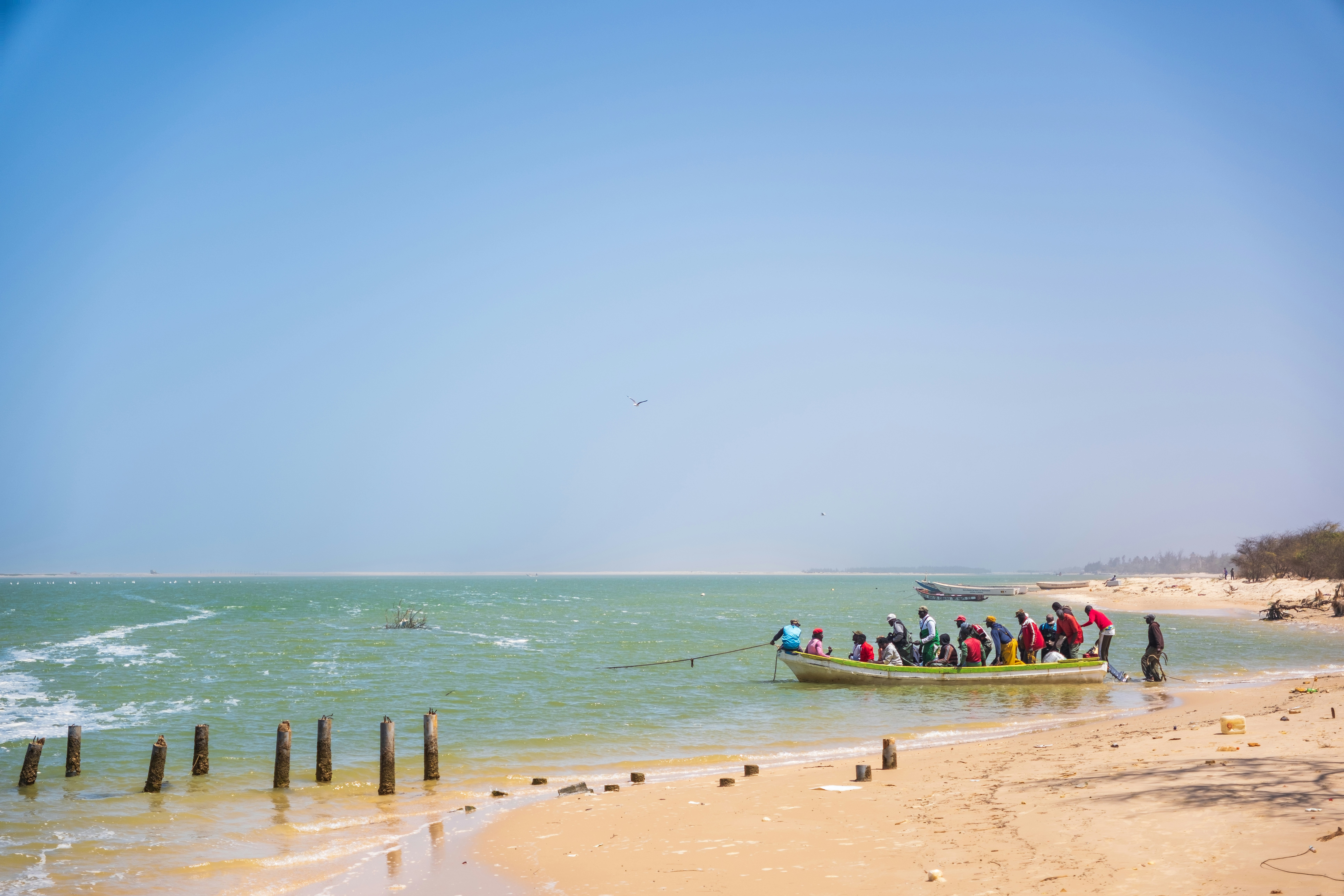 This wide-angle photograph captures a dynamic coastal scene in Senegal under a vast, bright blue sky. A group of local fishermen in colorful clothing is gathered on a traditional wooden boat near the sandy shoreline, actively working together to haul in a large fishing net from the turquoise sea. The composition highlights the open horizon, the breaking waves, and the weathered wooden posts protruding from the water in the foreground.