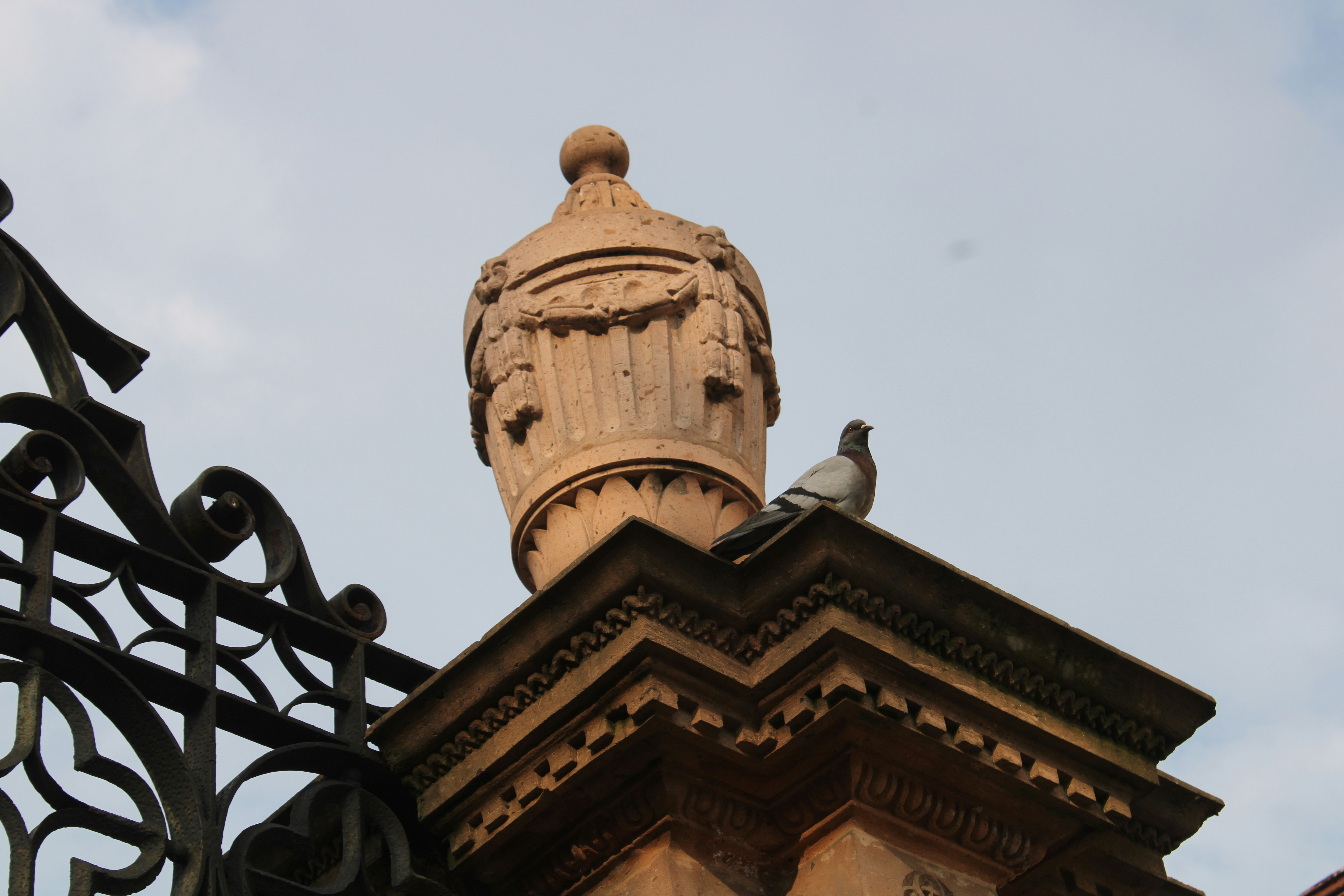 Pigeon Perched on Ornate Mast: A Stone Balcony Skyline