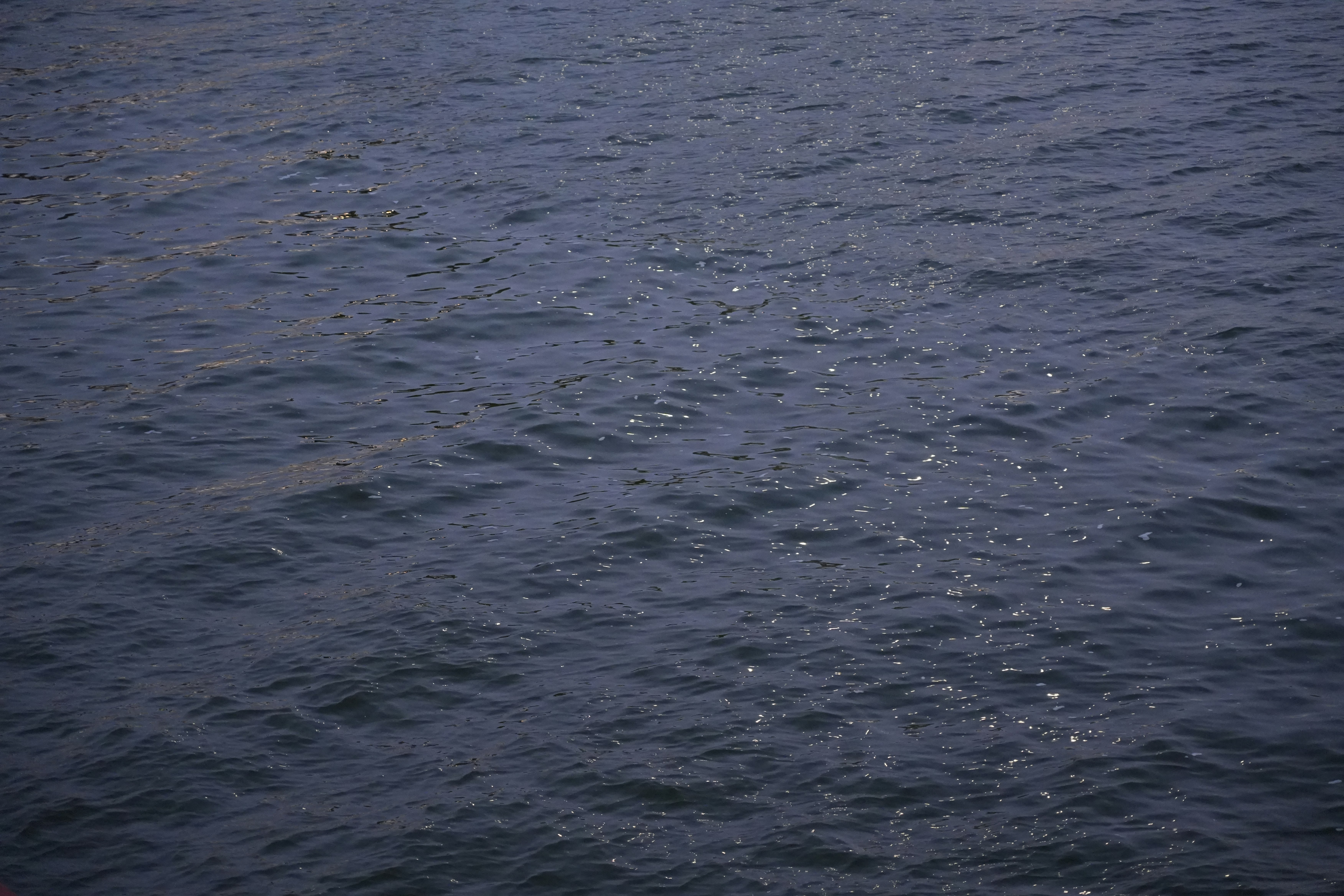 Glittering Distant Ripples Across Open Water