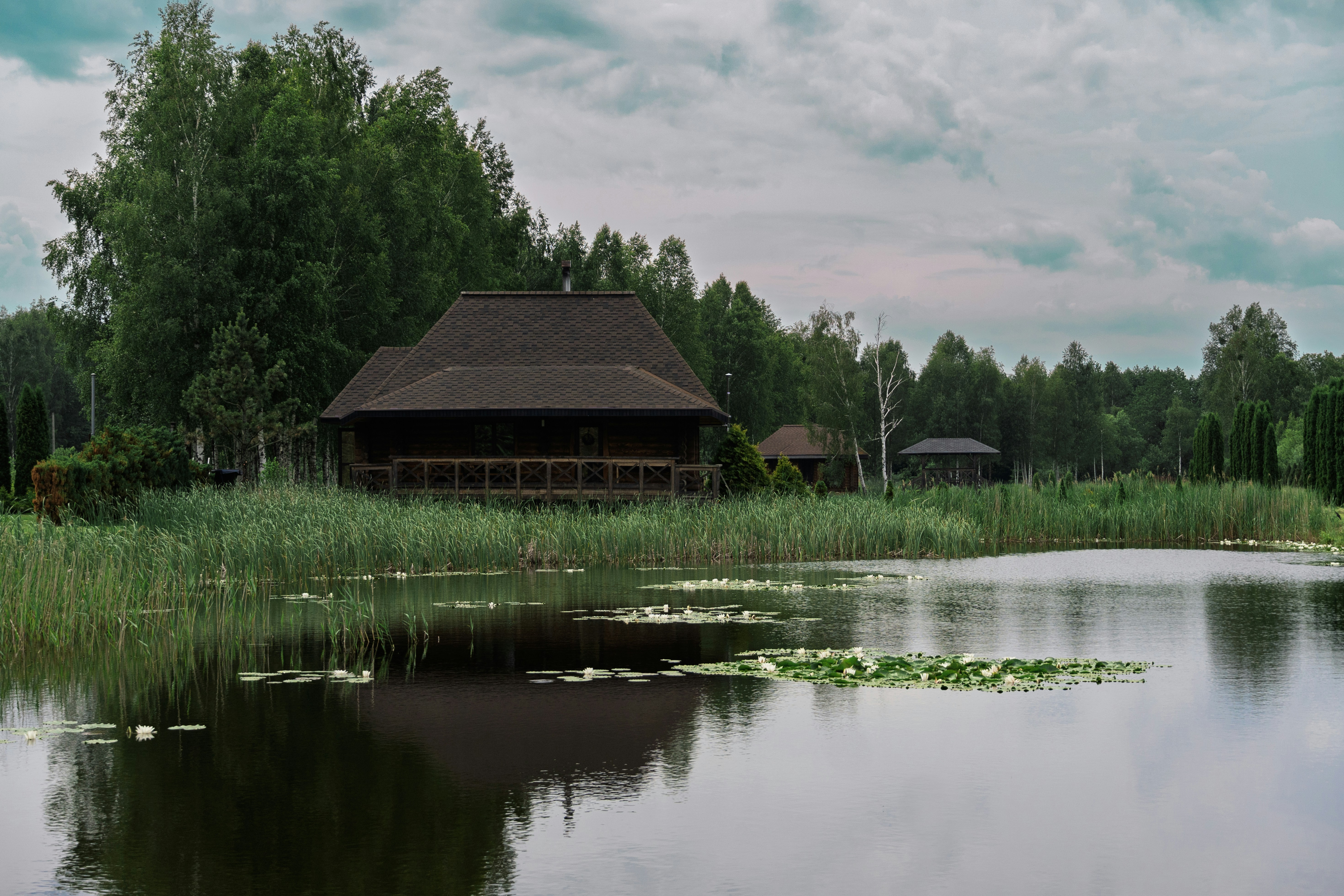 Lakeside Lodge Bordered by Willows