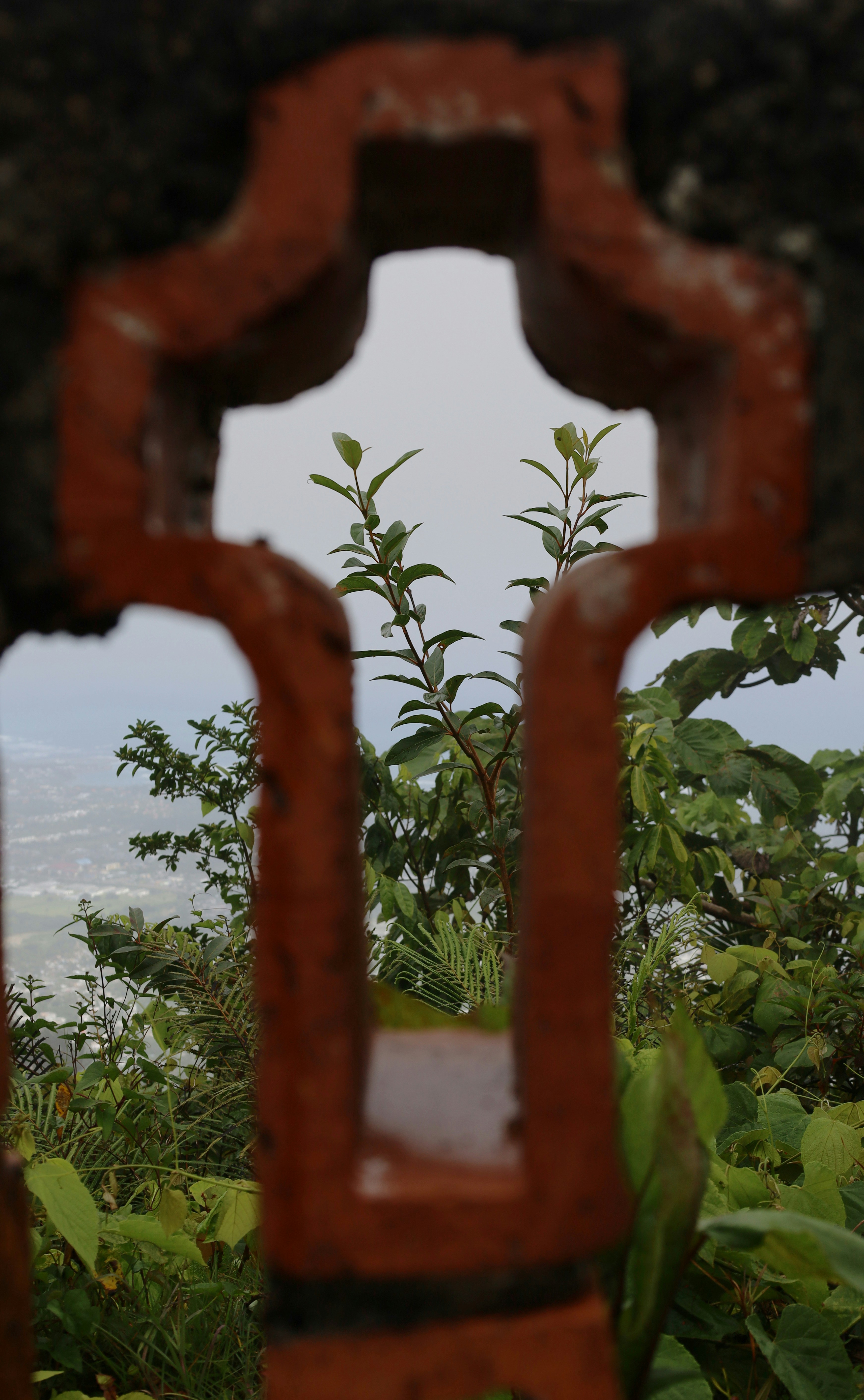 Through the Rusted Frame: Greenery Framed by a Weathered Arch
