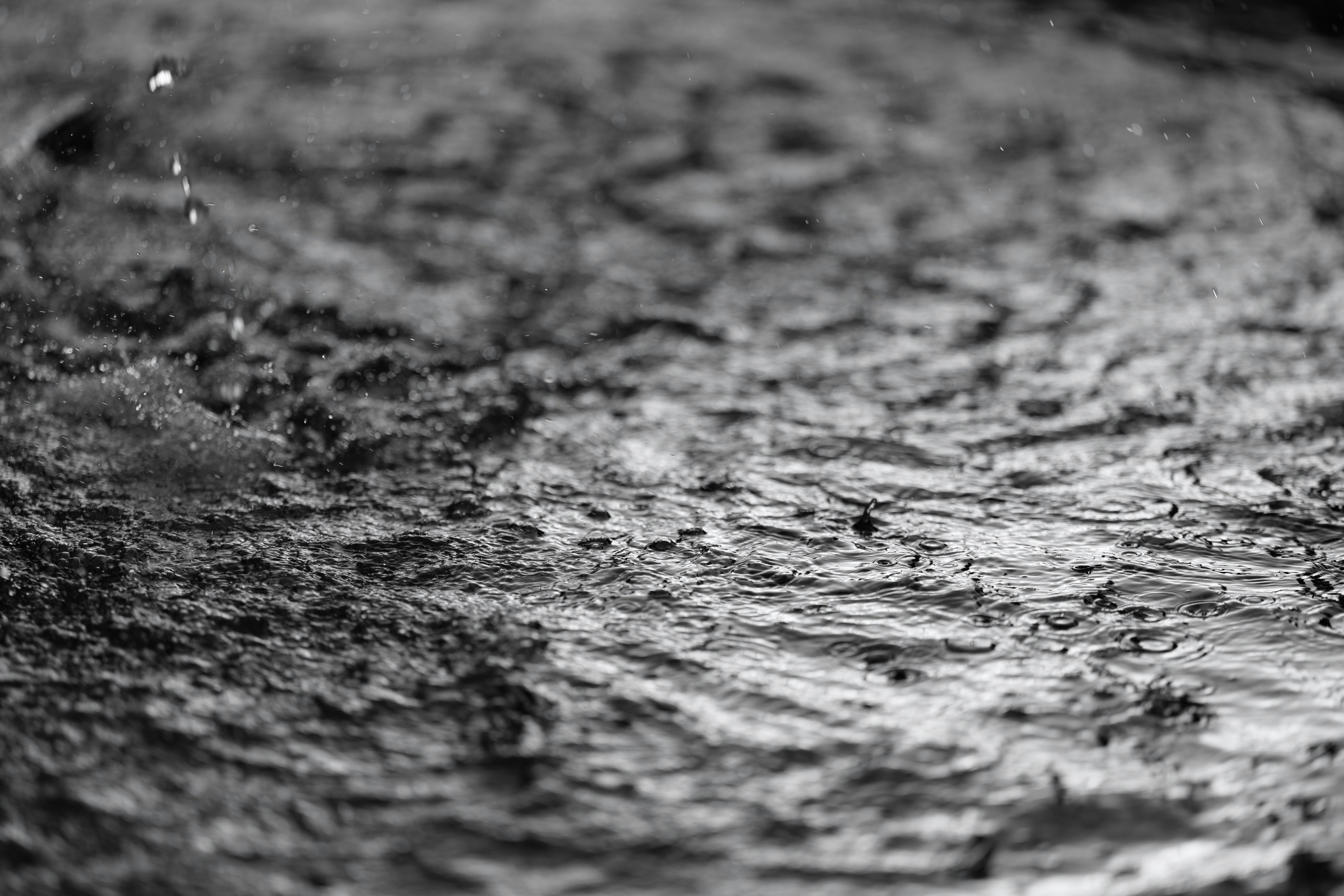 Raindrops creating ripples on a dark, textured surface.