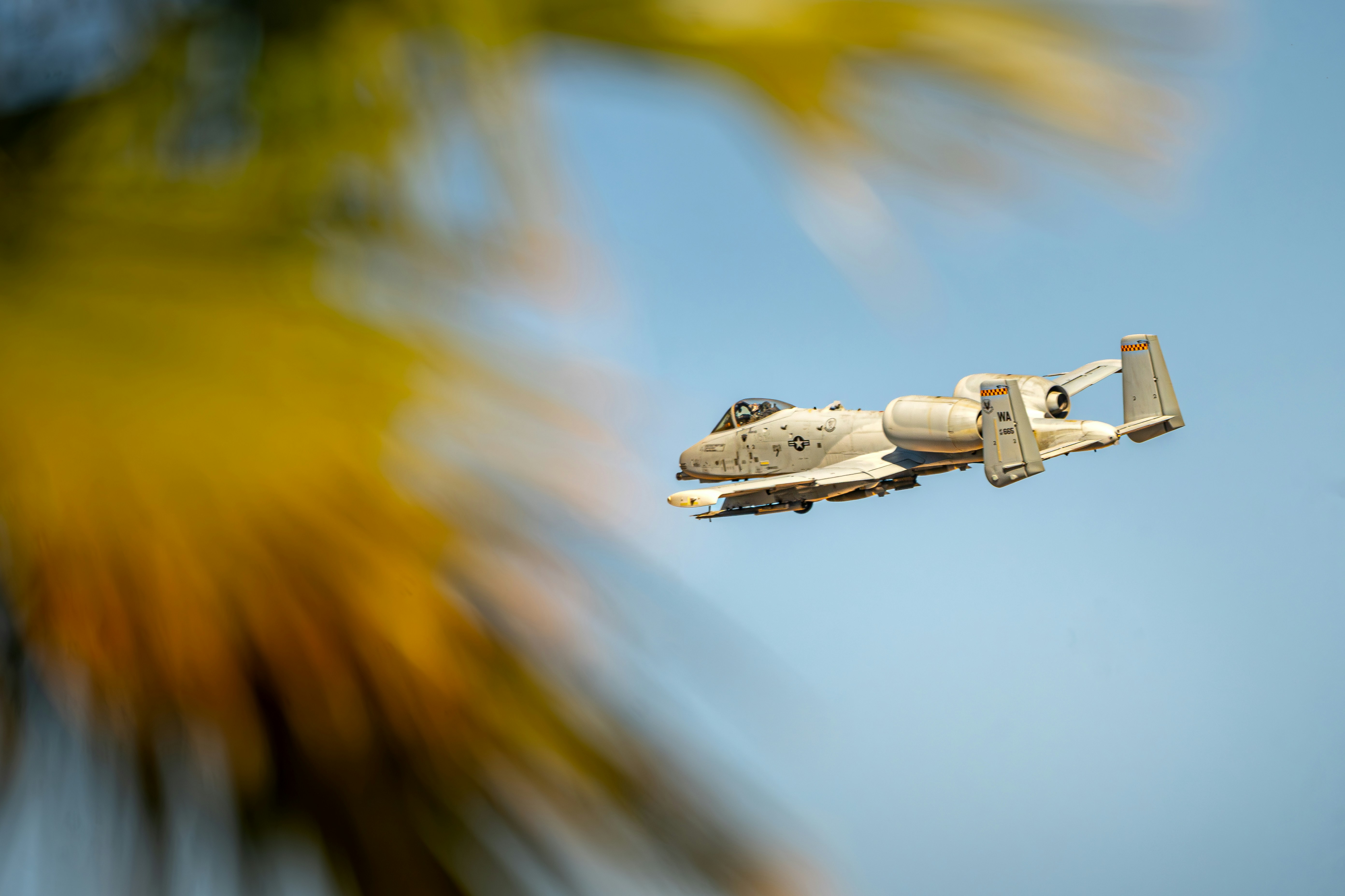 A military aircraft flies past a blurred palm tree.