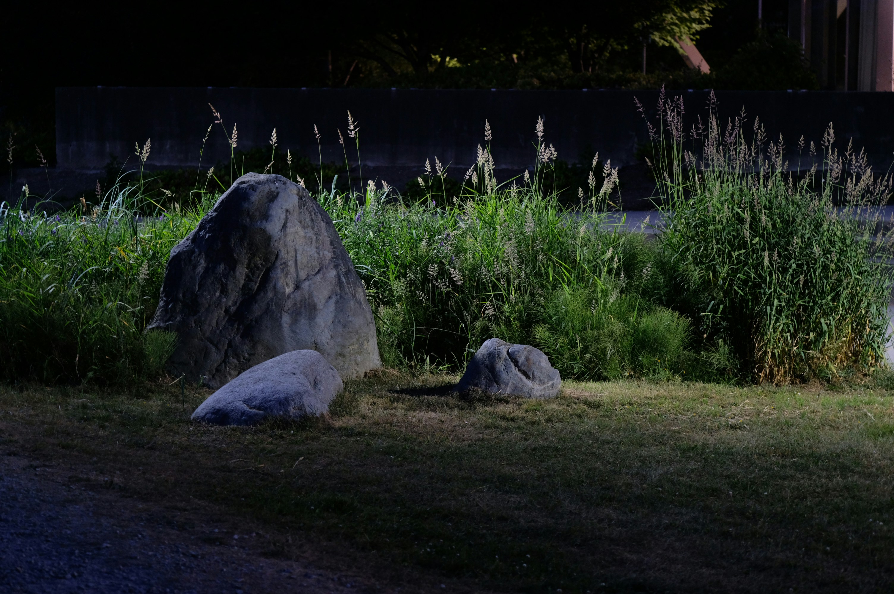 Moonlit Garden Stones under a Quiet Night