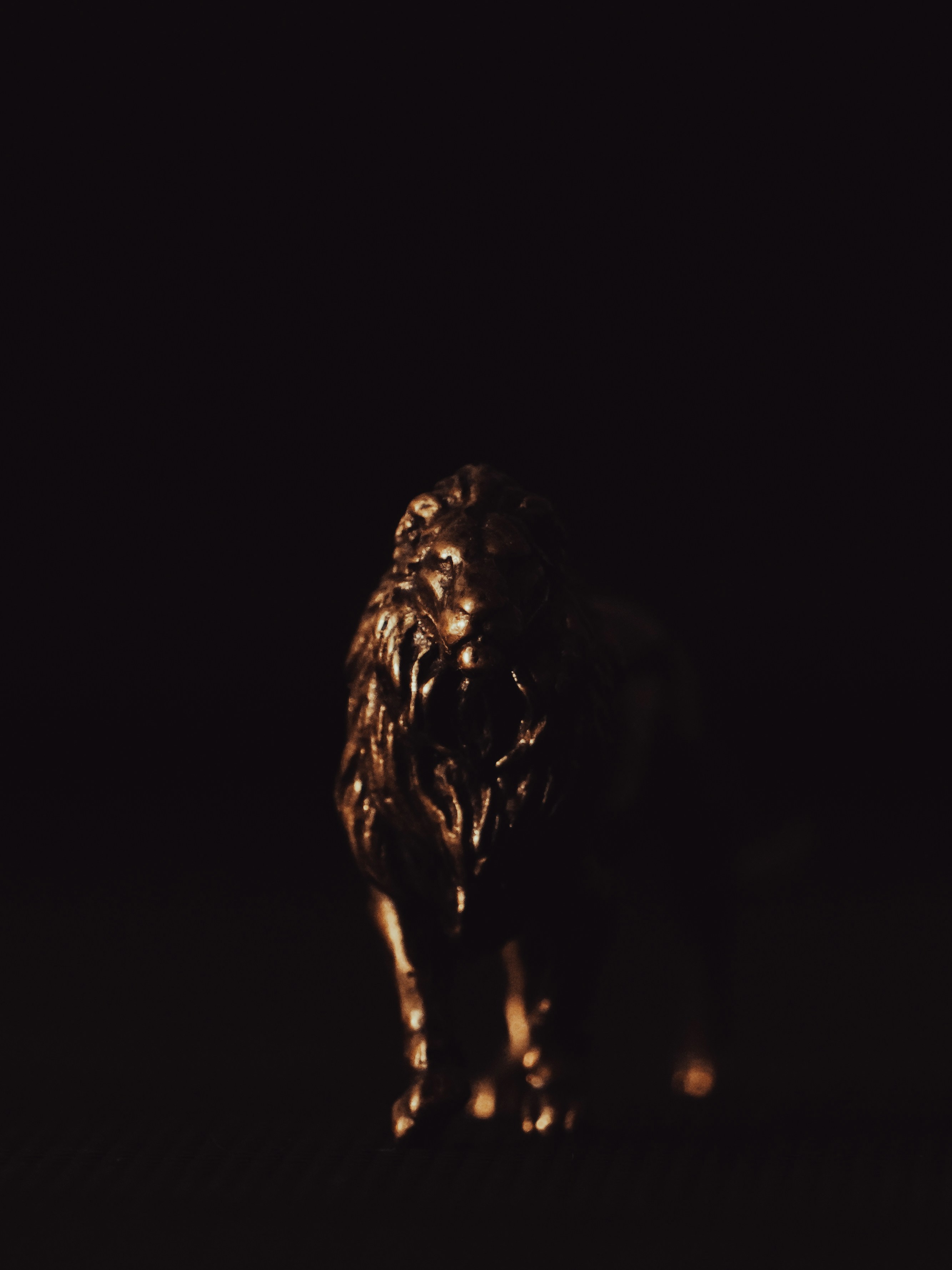 Golden Spotlight on a Dark Sentinel
