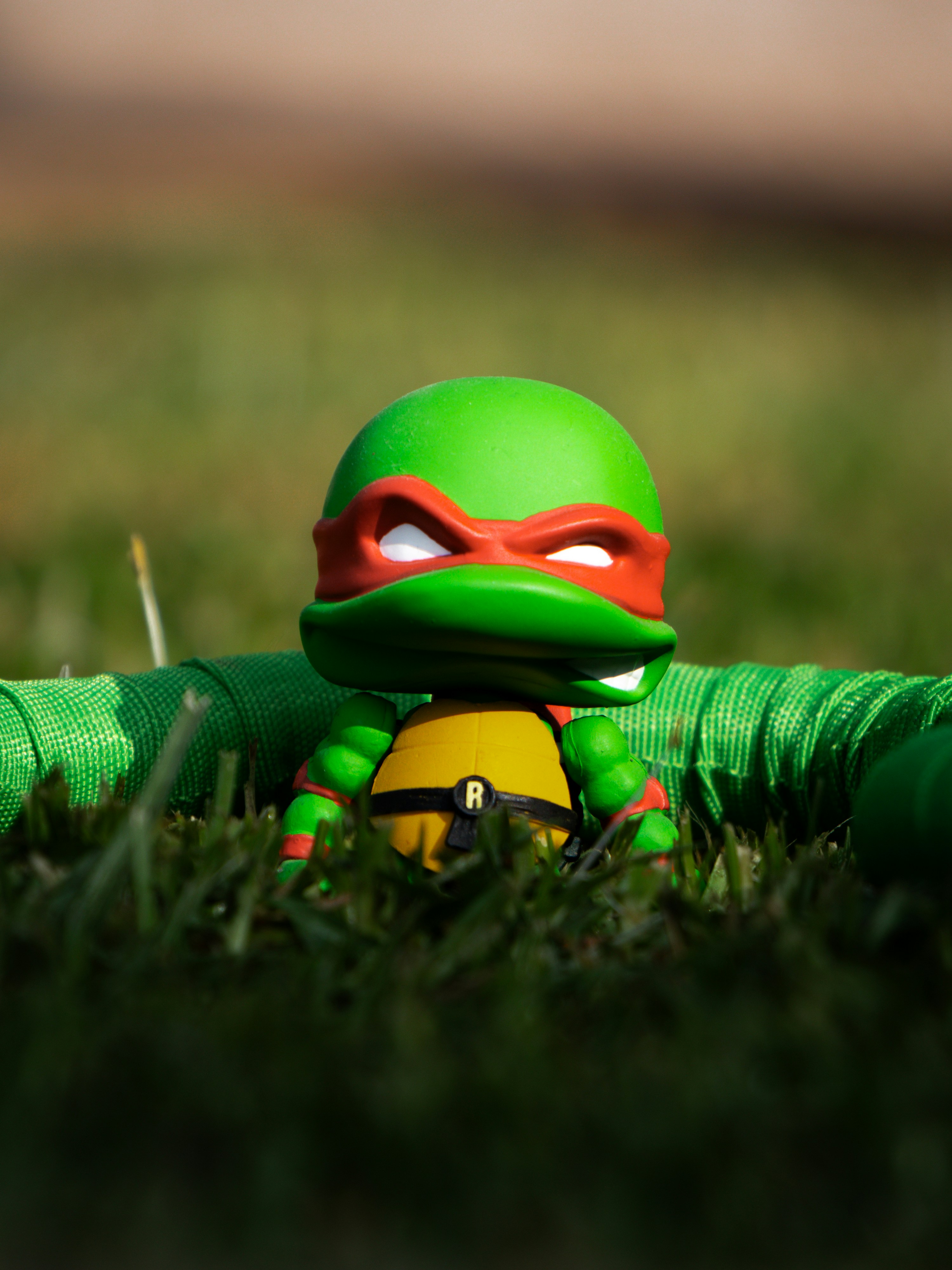 Hopper in the Grass: A Teenage Mutant Ninja Turtle Toy Anchored by a grassy Green World