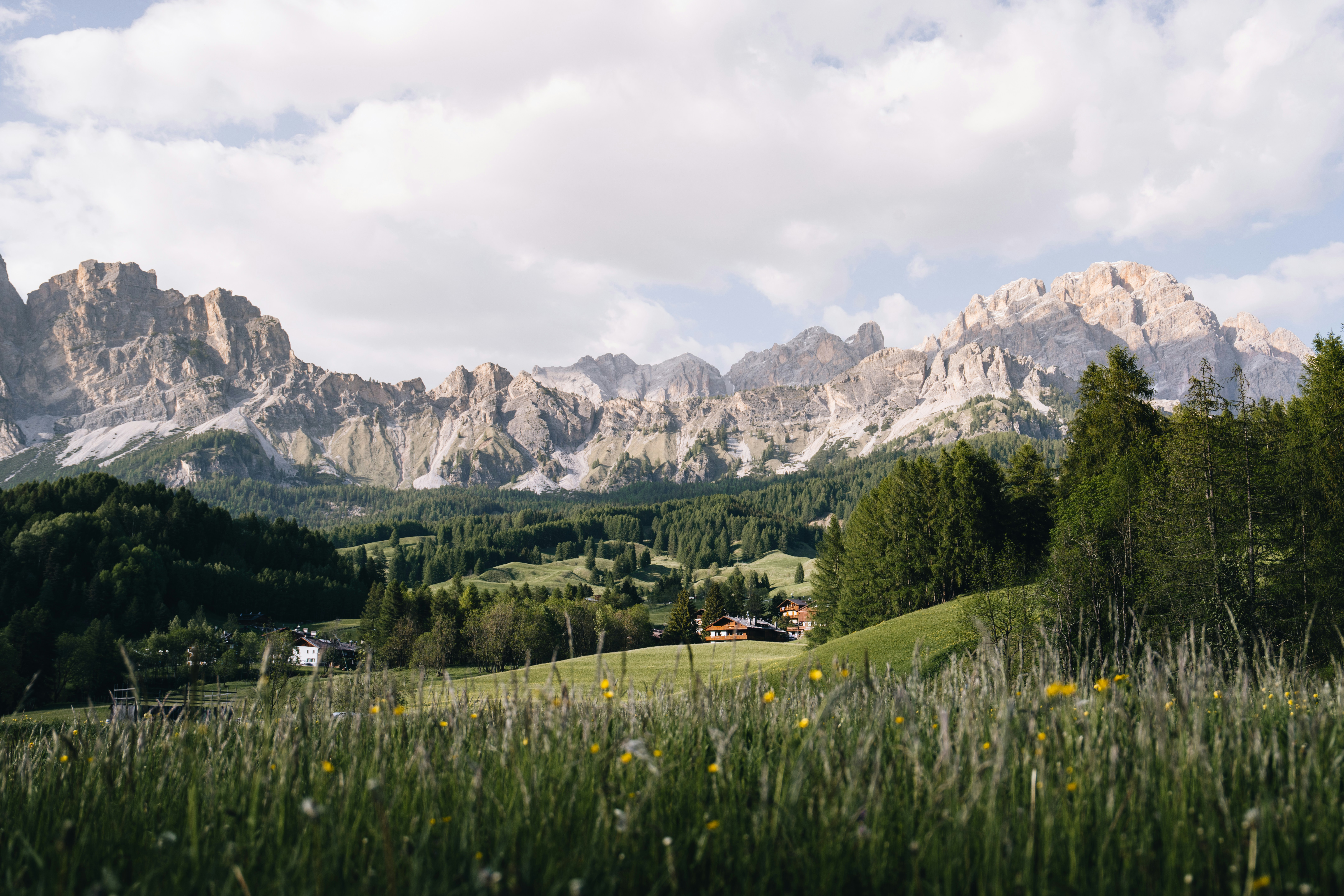 Pastoral Valley Beneath a Rugged Alpine Crest
