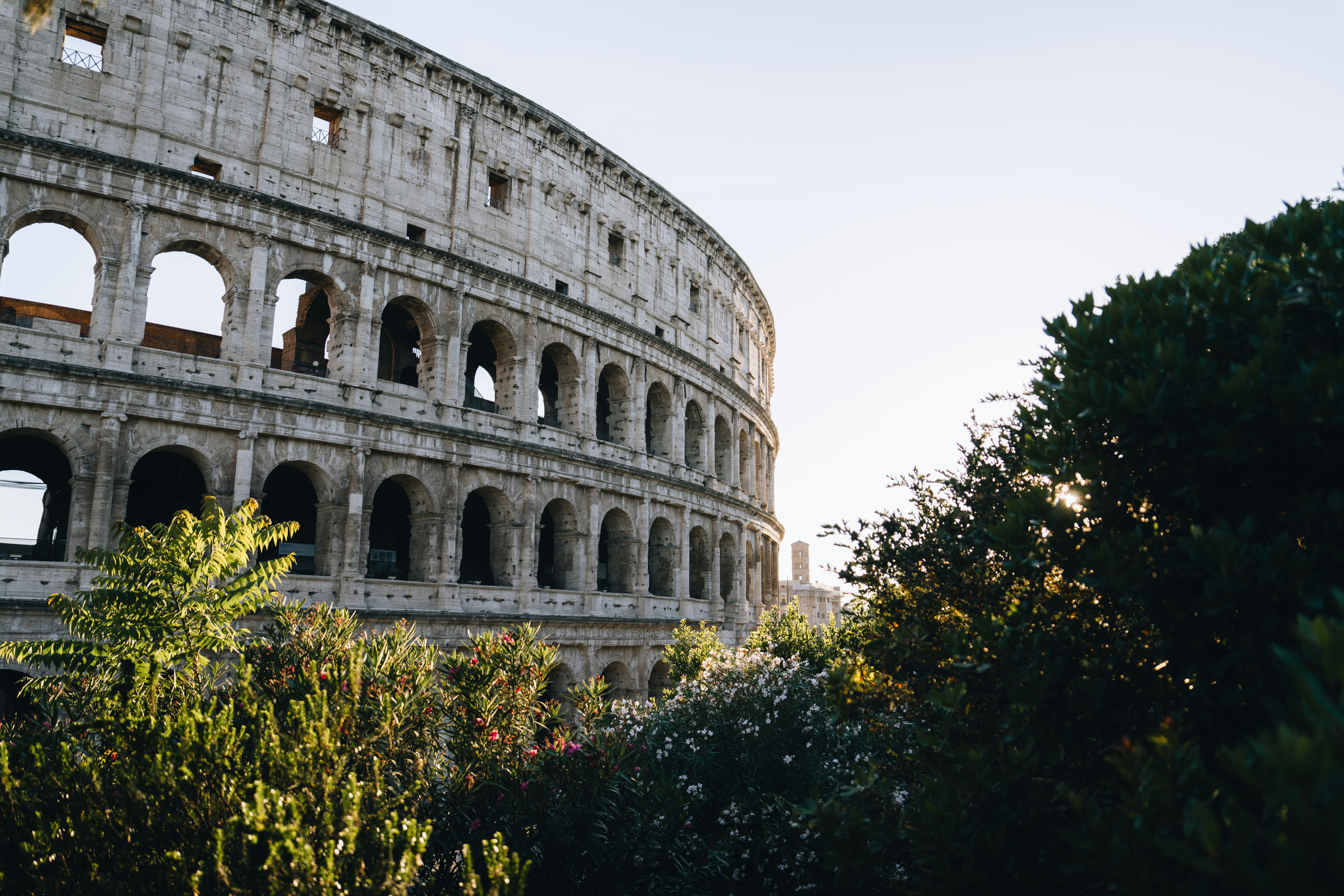 Ancient colosseum partially visible through green foliage.