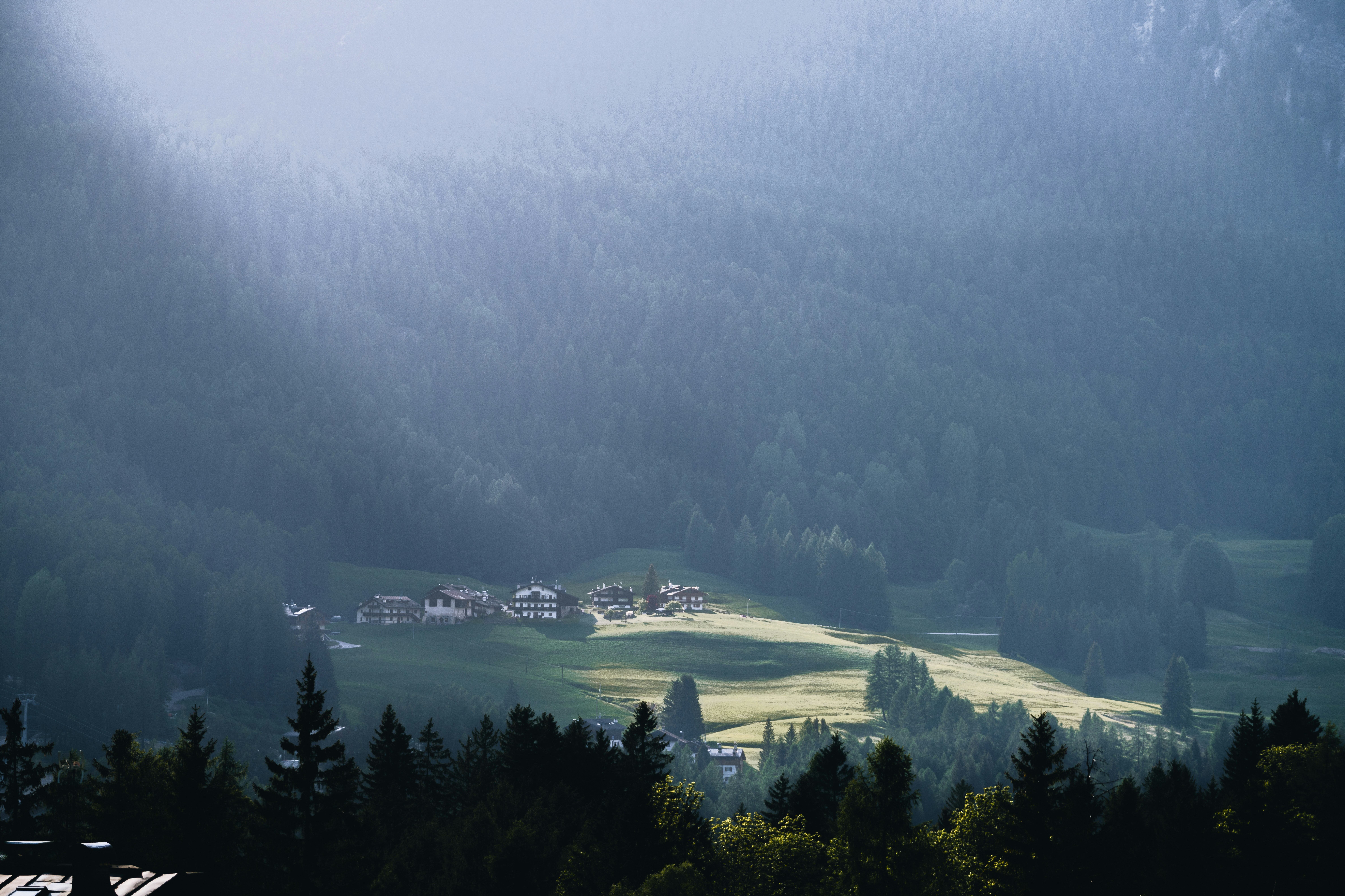 Sunlit Alpine Glade Emerges from Gentle Fog