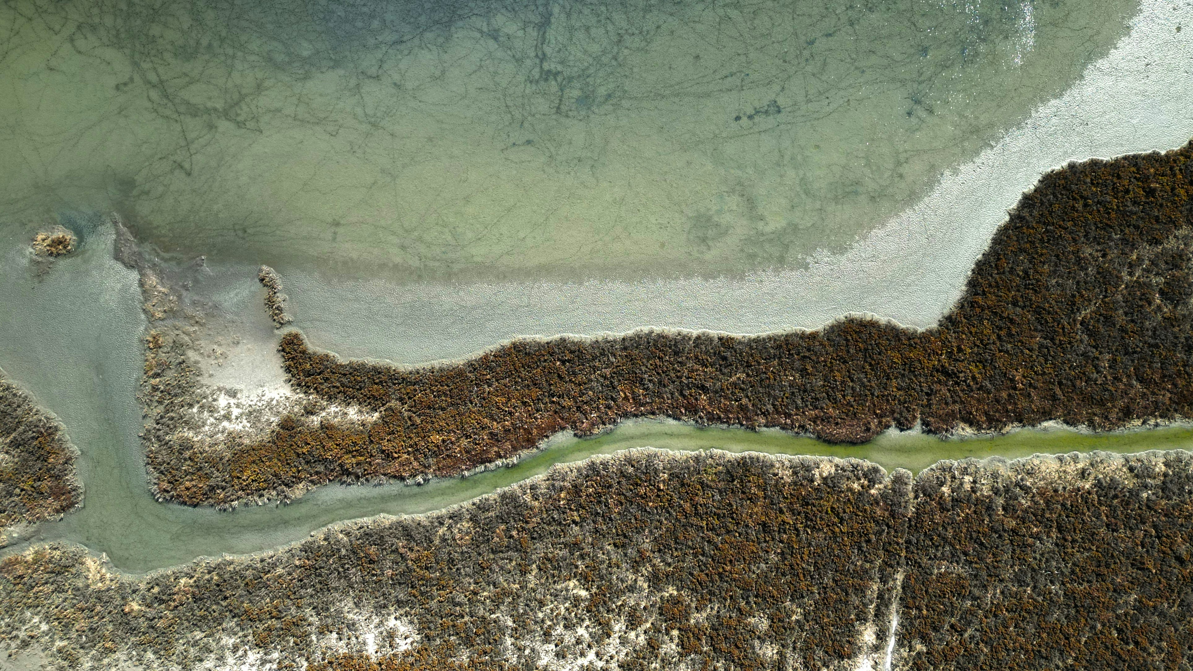 Aerial view of a winding channel through textured wetland landscape.