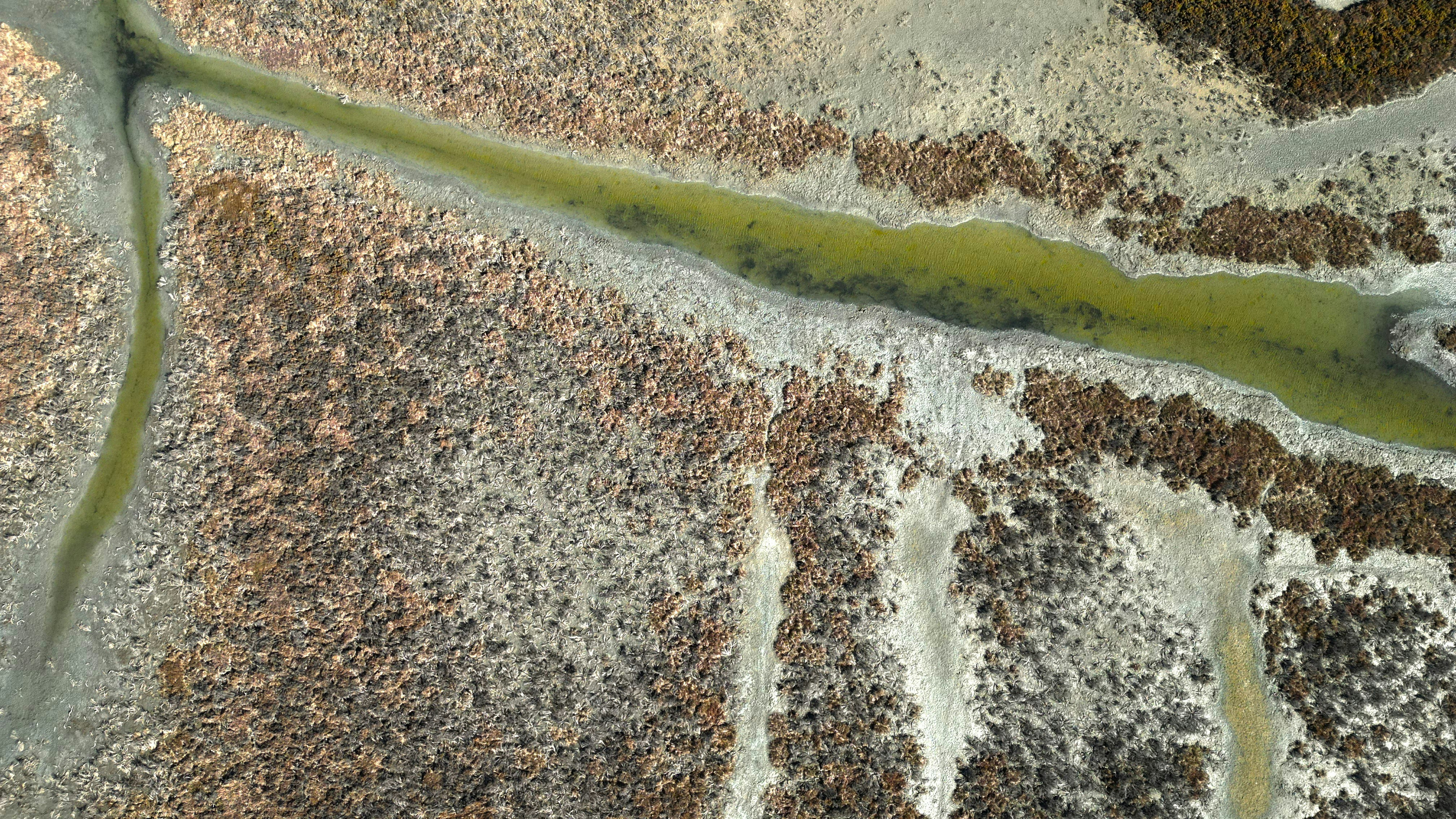 Aerial view of green waterways winding through dry, textured land.