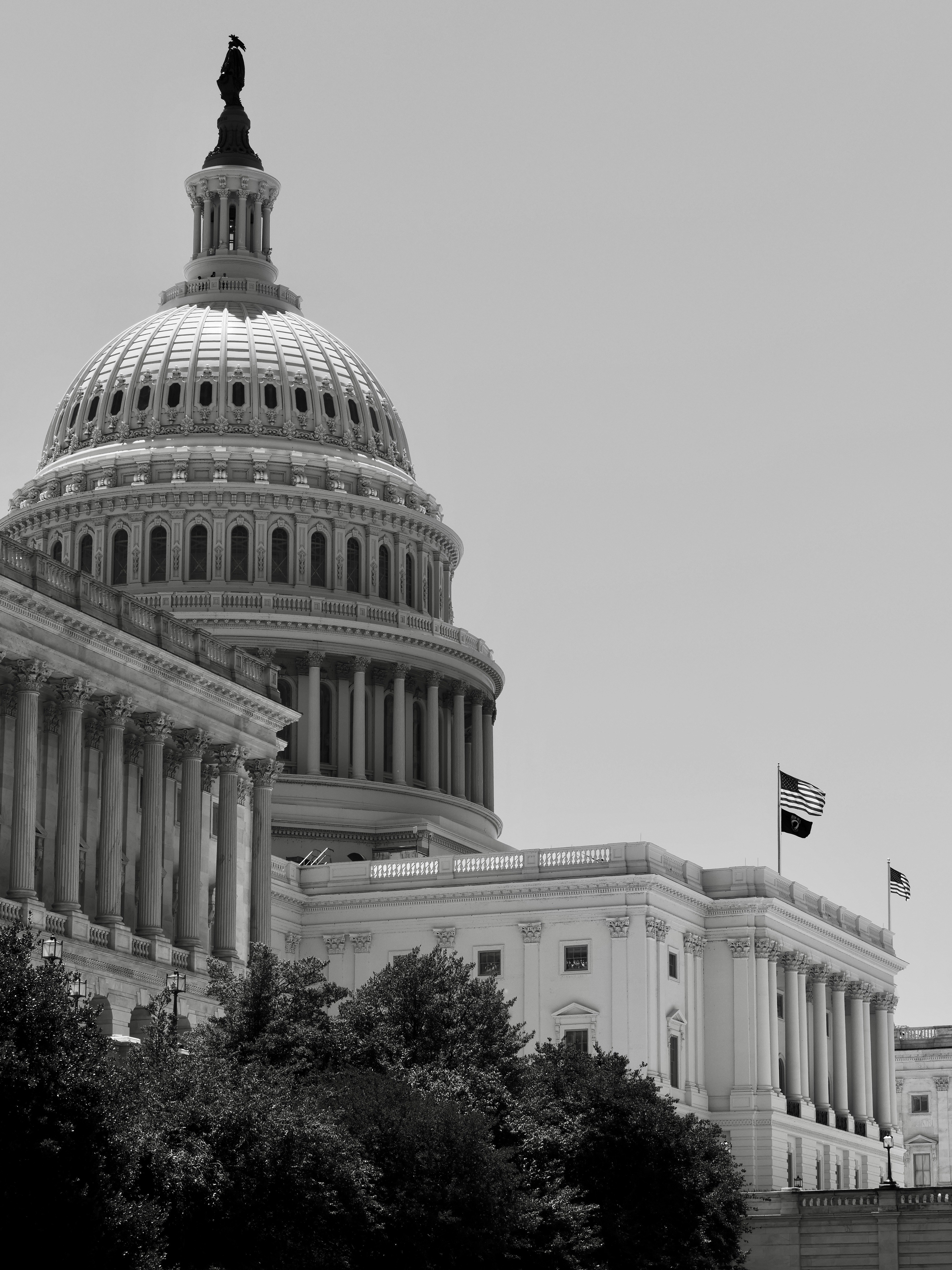 Capitol Dome in Quiet Gray