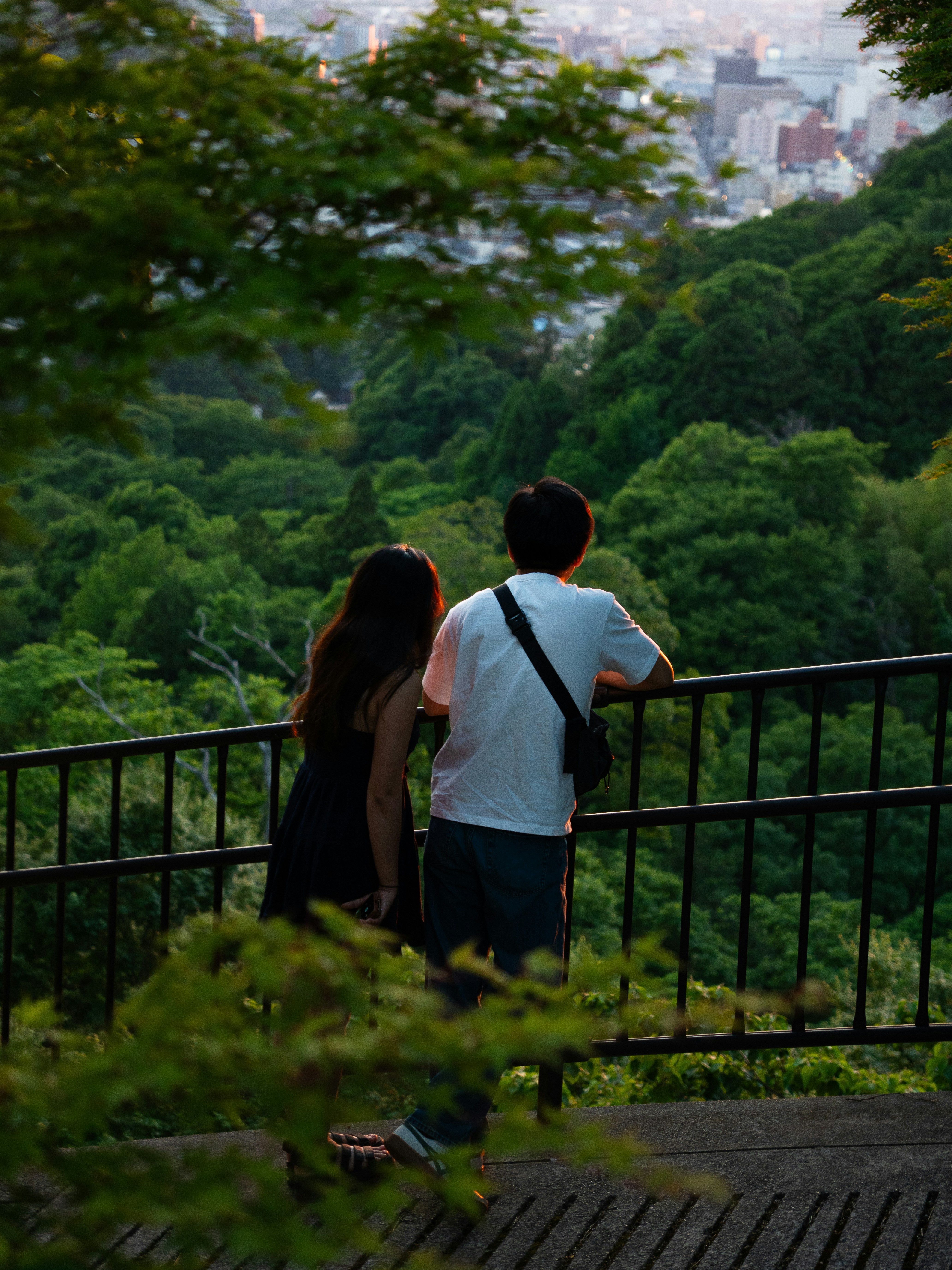 Overlook at Distant City