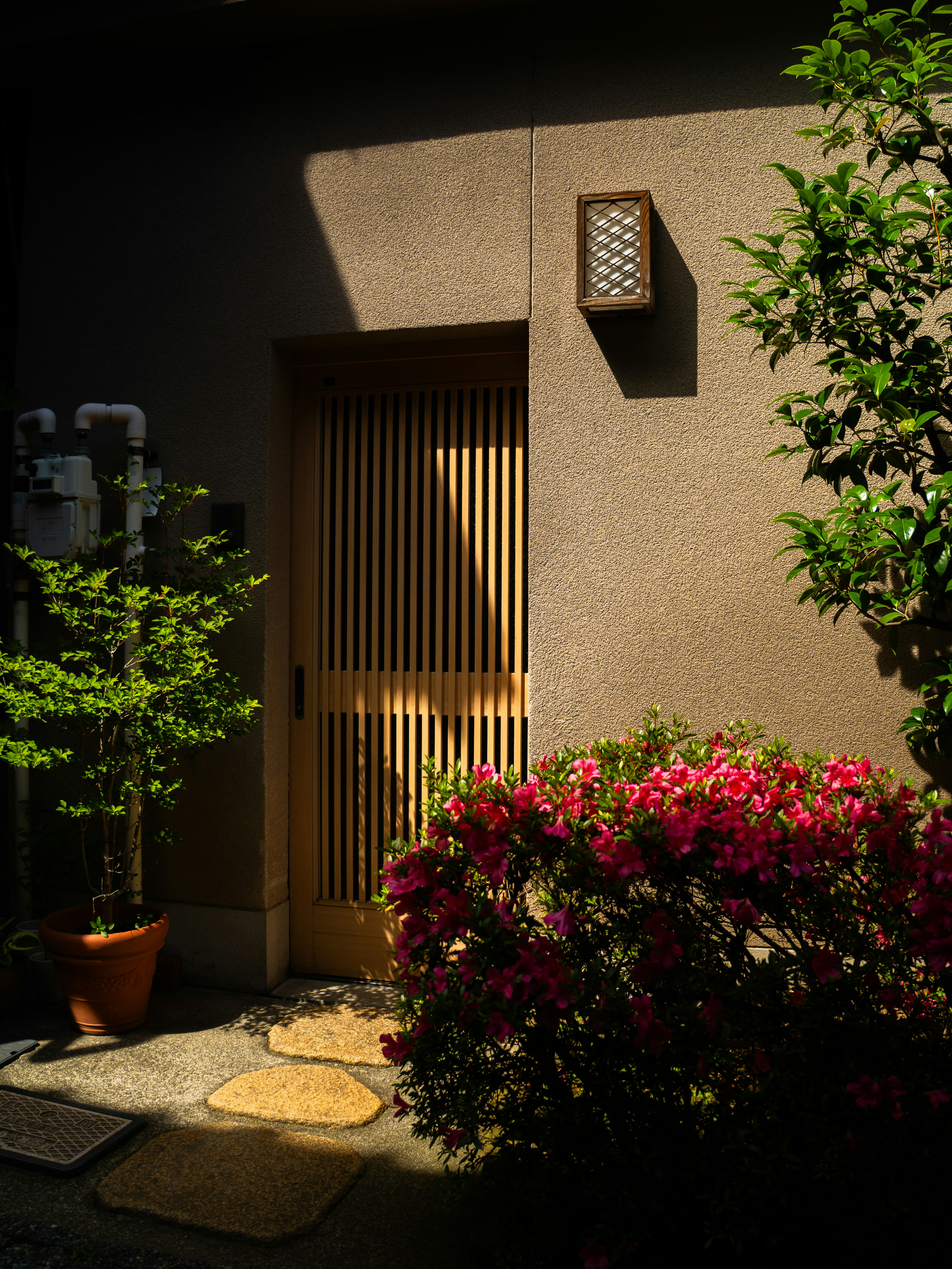 Sunlit Entrance Framed by Bright Pink Blooms and Quiet Shadow