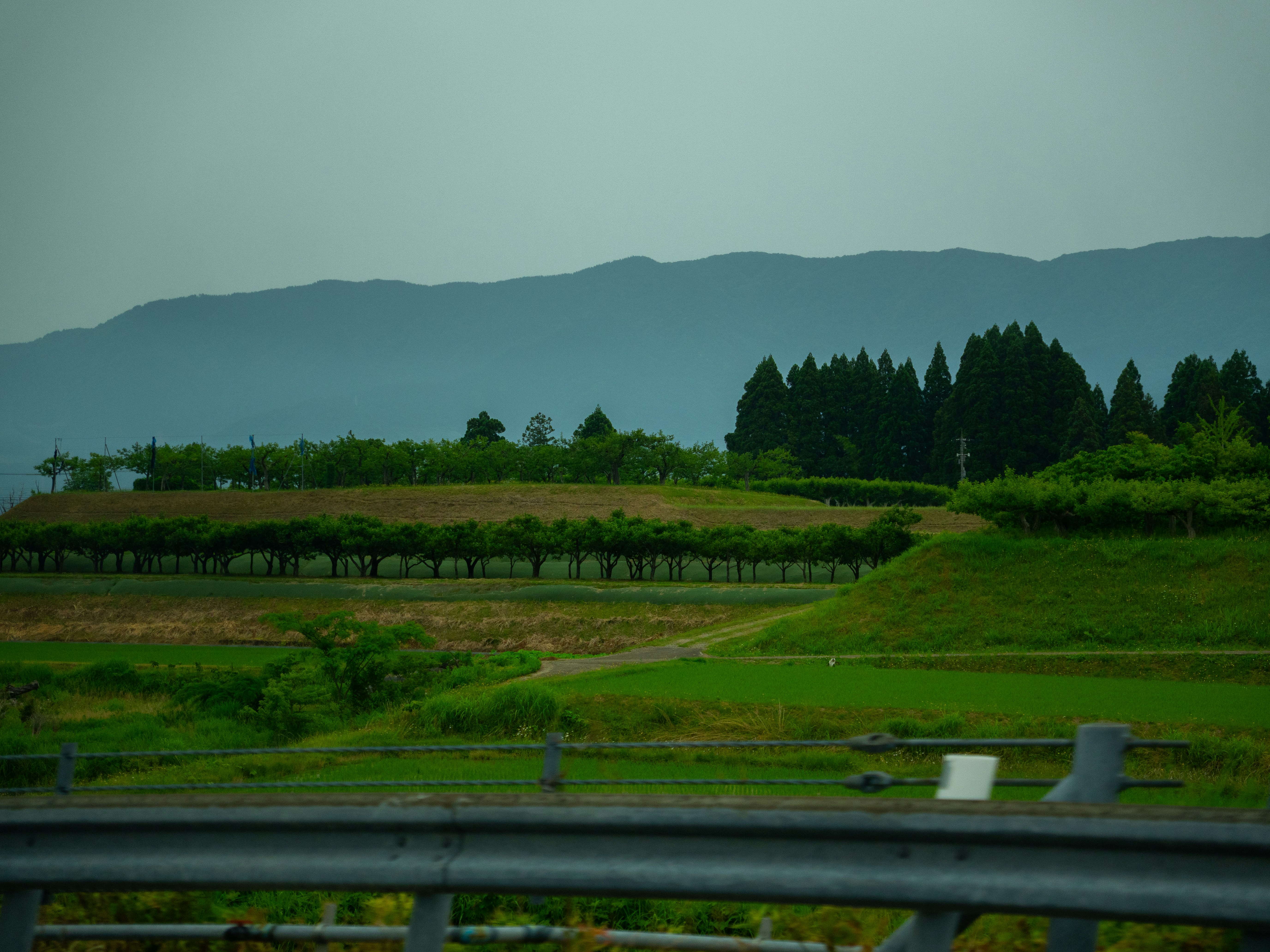 Pastoral Layers Under Distant Blue Ridge