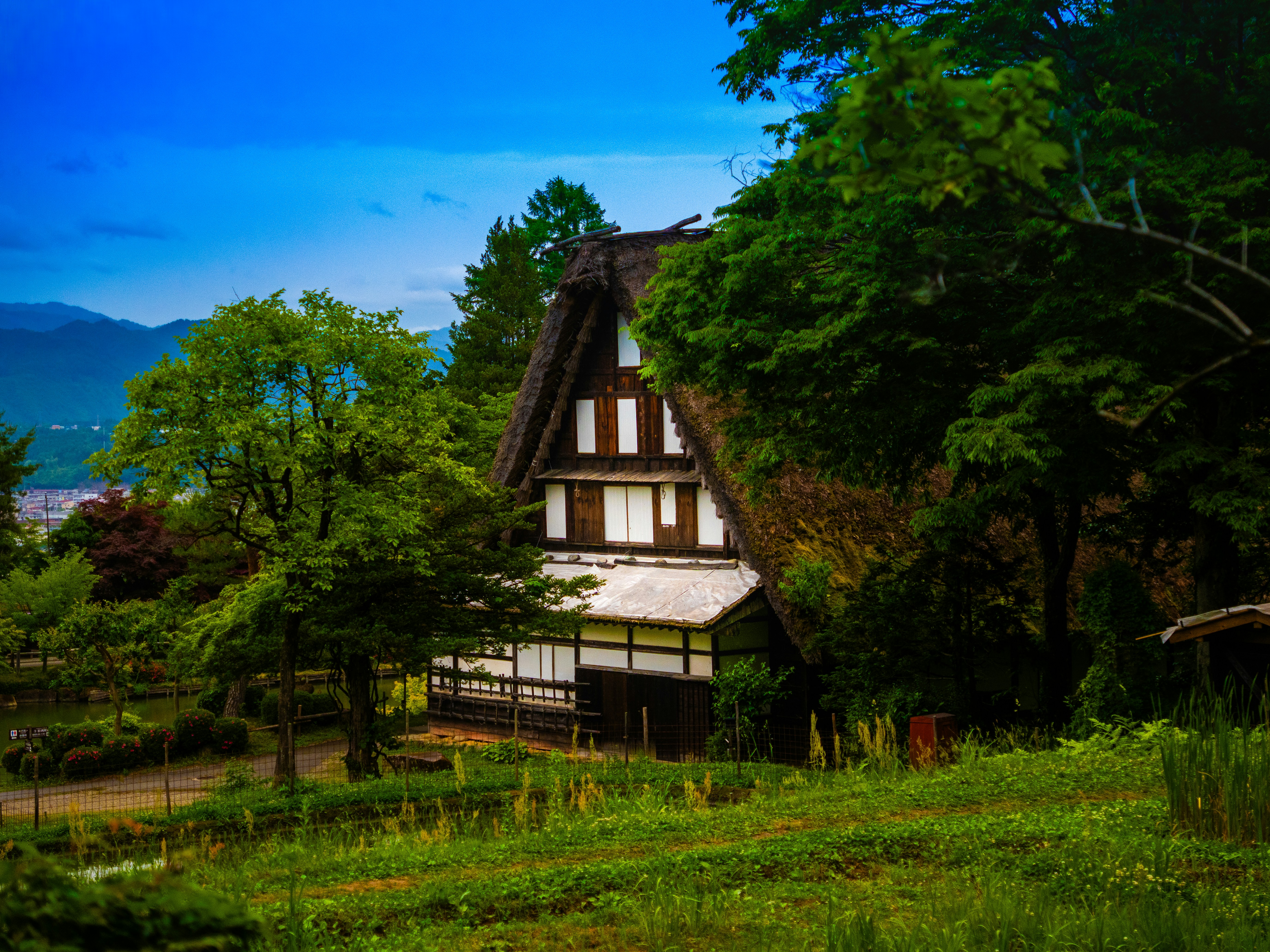 Thatched Heritage: A Timber-Framed Chalet Among Spring Green