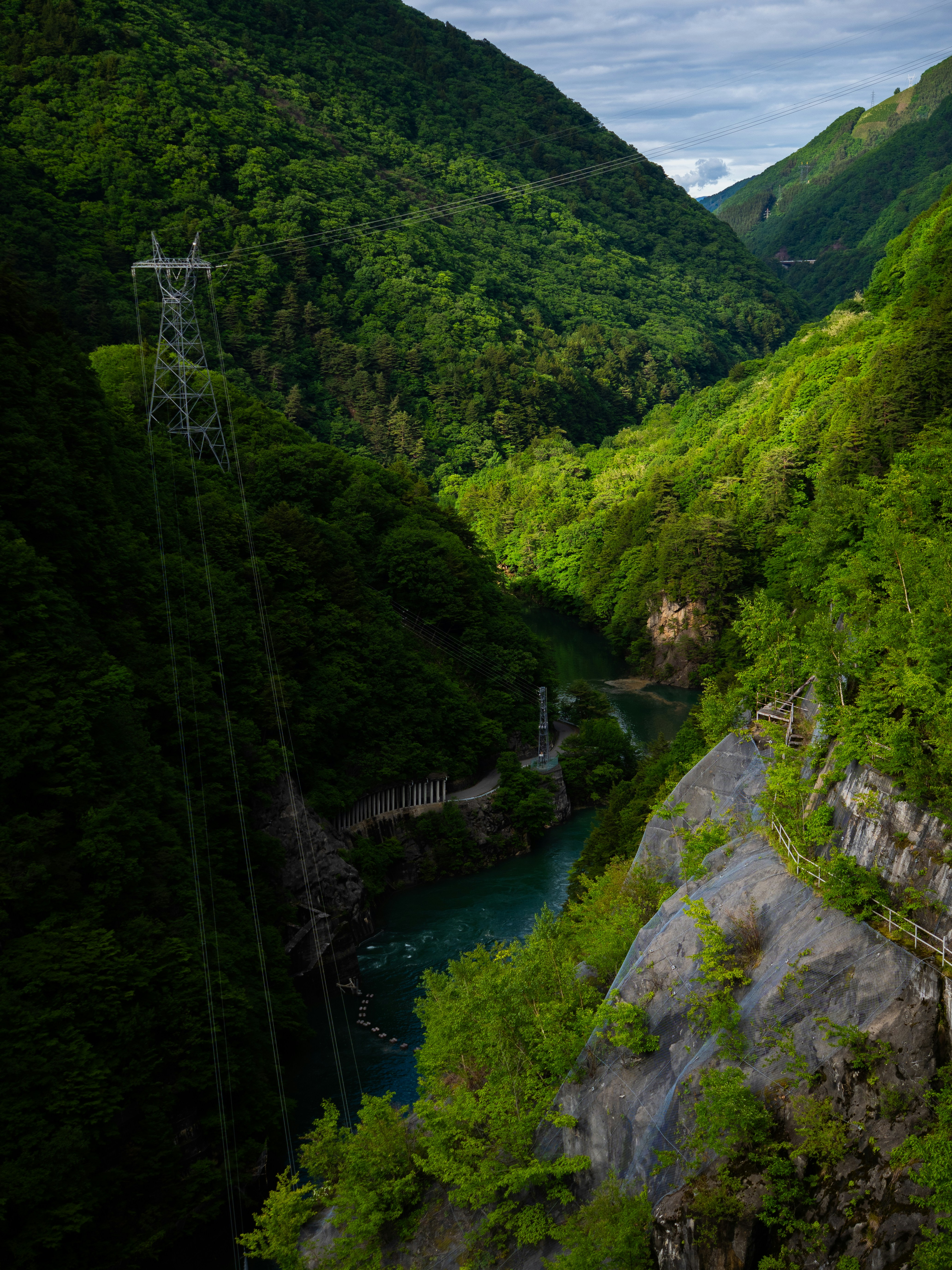 Cableway over emerald Gorge: a vertical canyon framed by lush greens