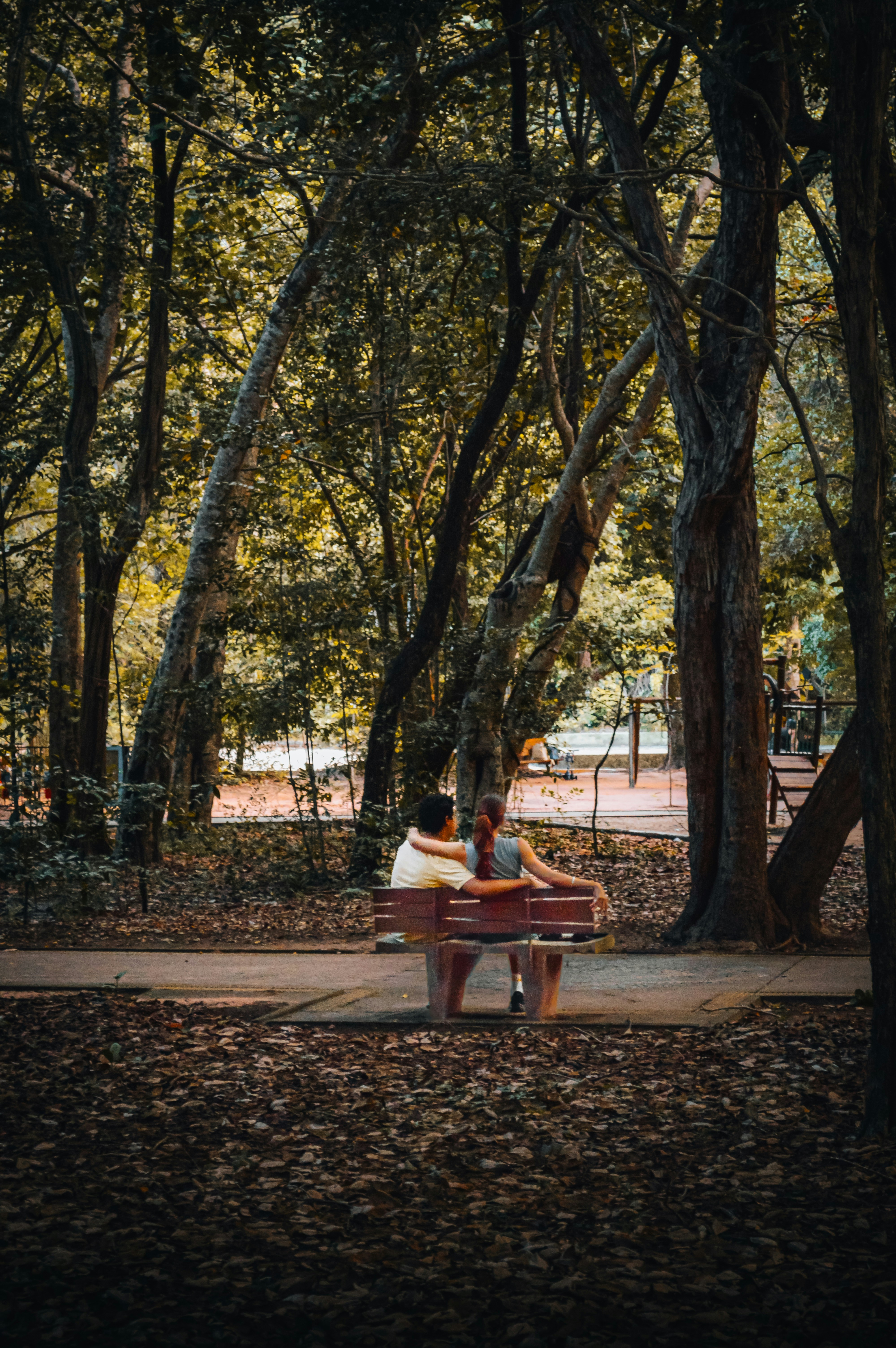 Quiet Confidences on a Park Bench