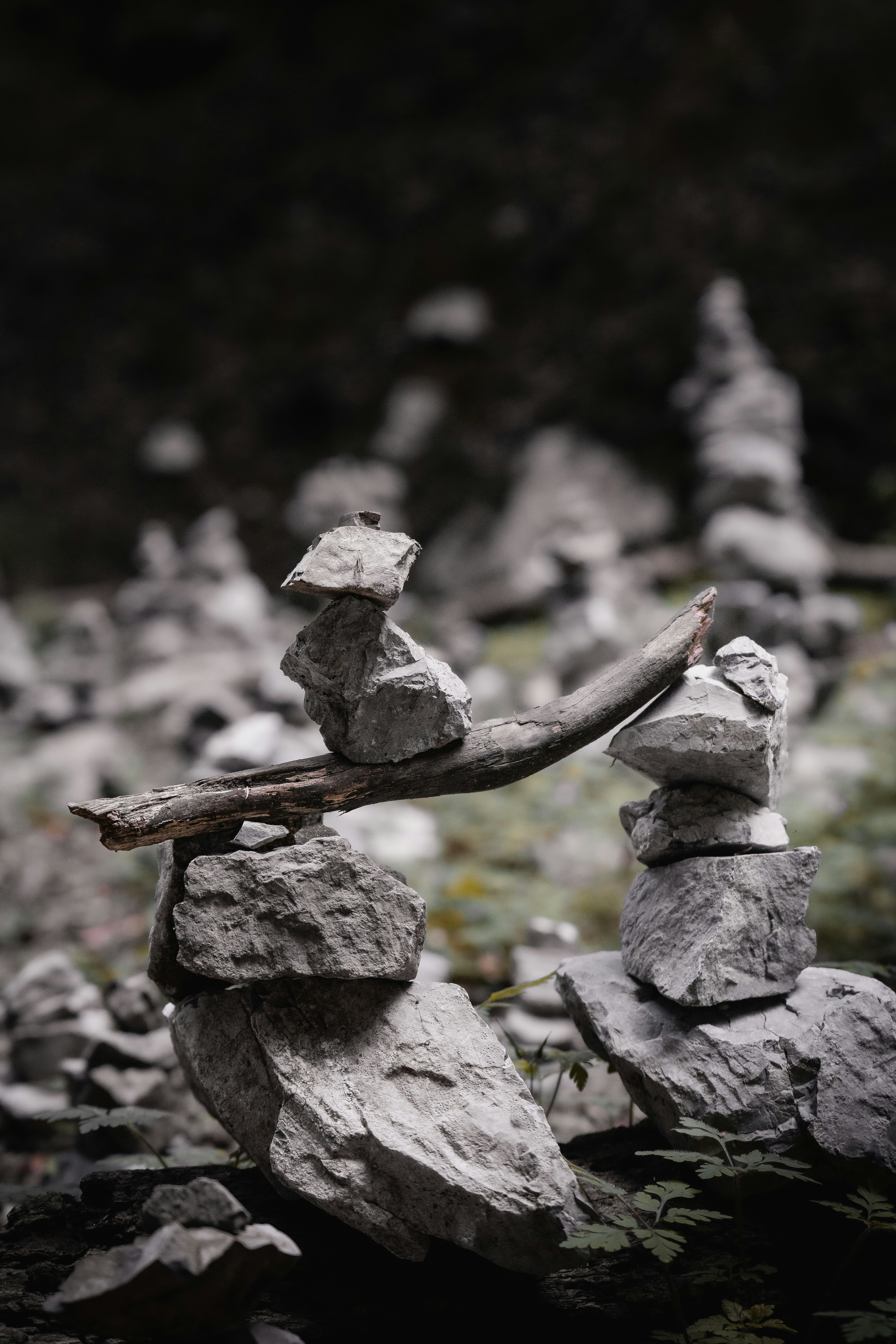 Balanced Stones: A Quiet Stack of Weathered Rocks in a Forest Clearing
