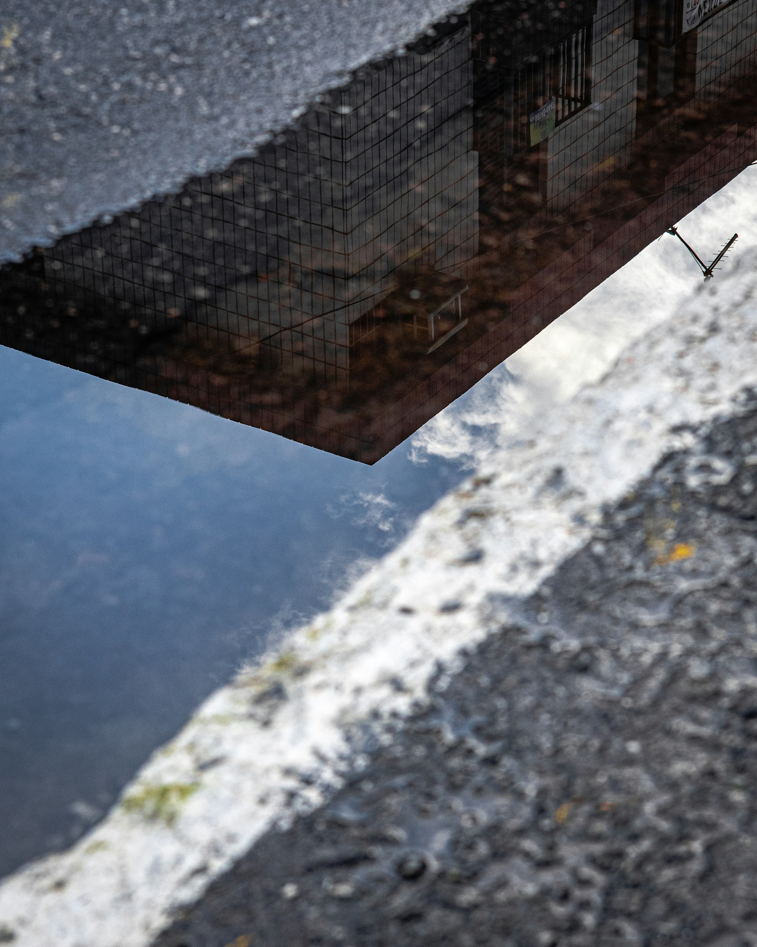 Reflection of an Urban Facade in a Rain-Slick Puddle