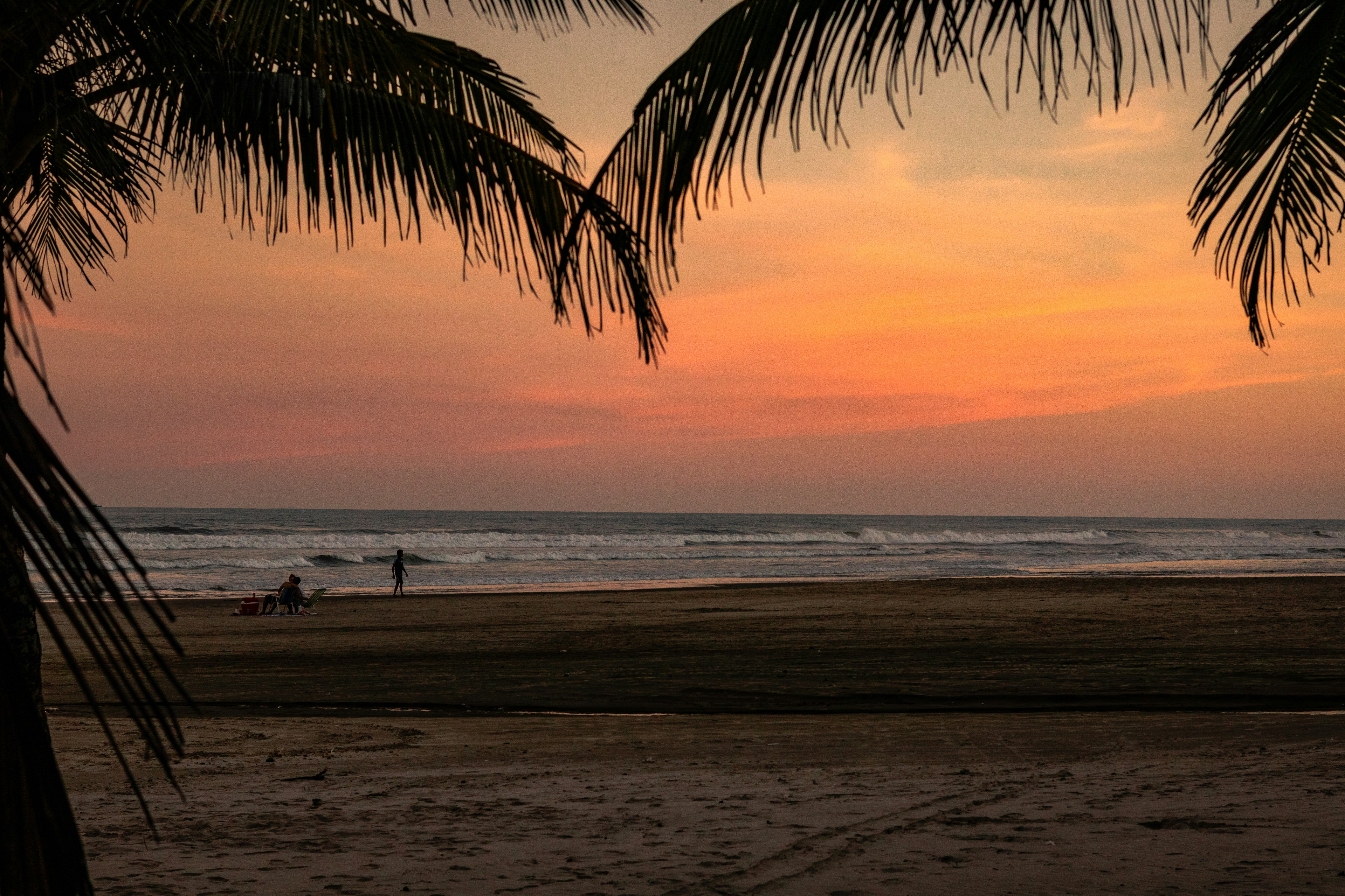 Horizon Glow: Palm-Framed Sunset over Quiet Beach