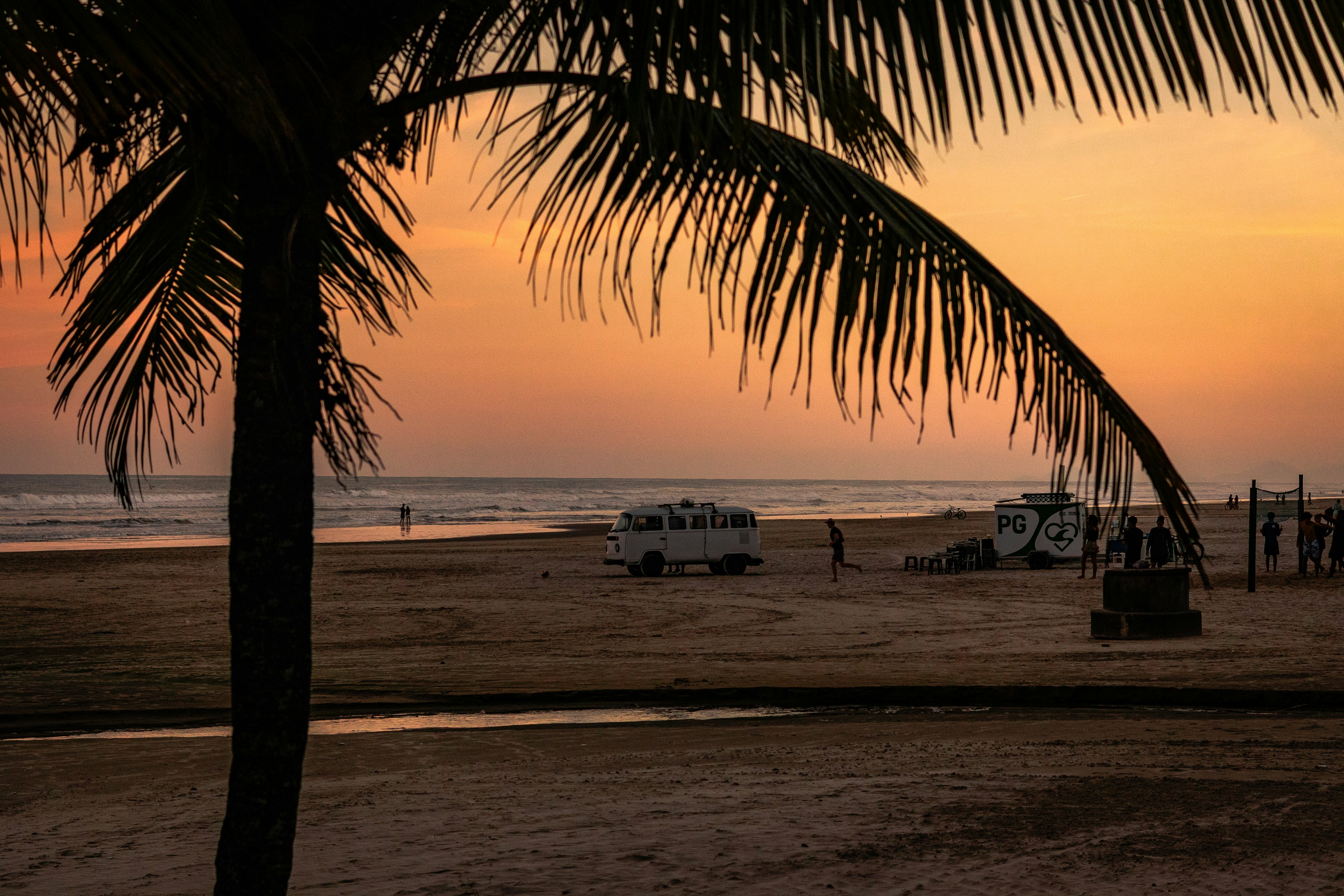 Palm Framing the Dusk: A Quiet Beach Scene at Sunset