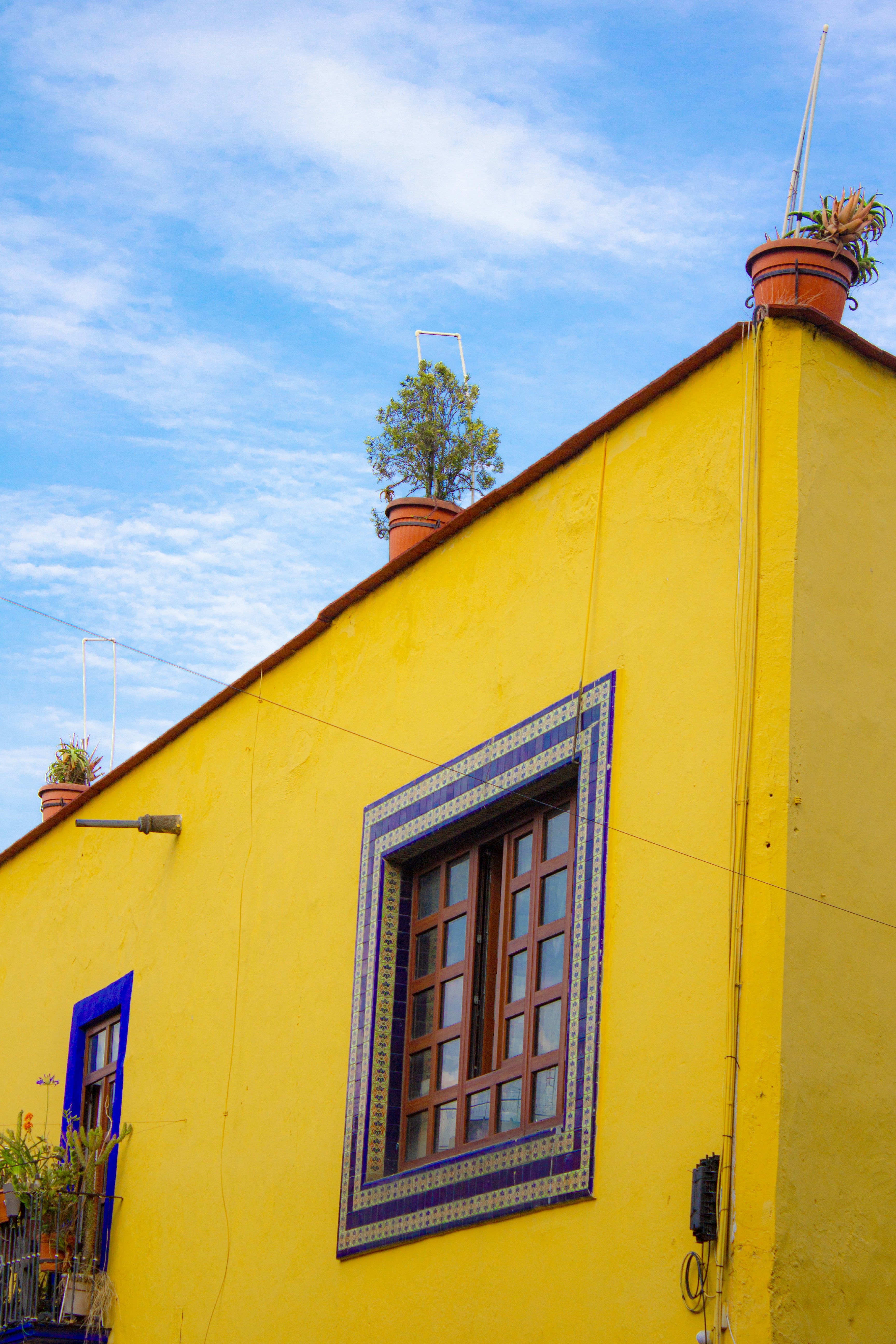 Sunlit Yellow Facade with Blue Framed Window and Rooftop Plants
