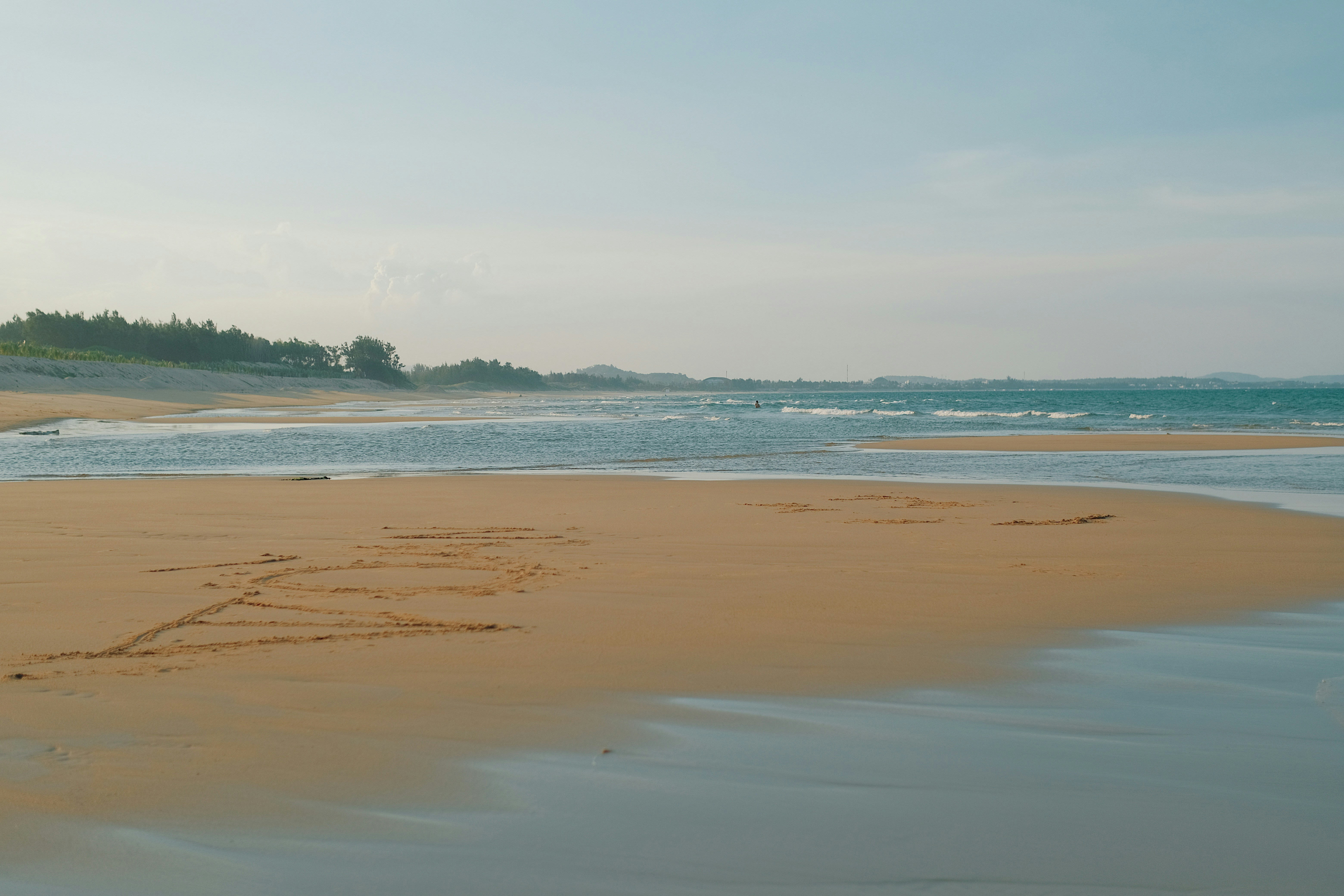 Quiet Coastline: Sand, Tide, and Distant Tree Line