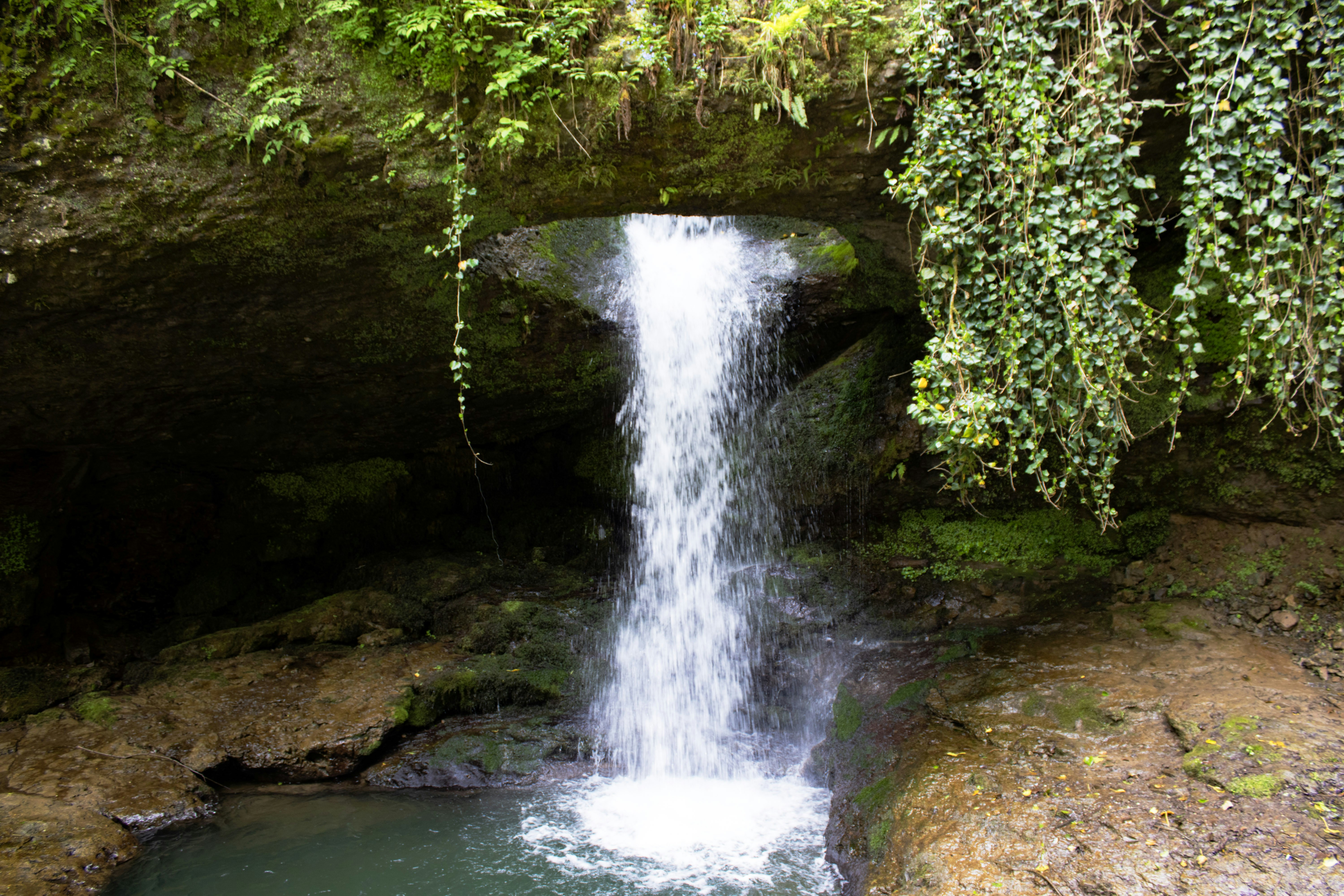 Hidden Cascade Under a Verdant Overhang