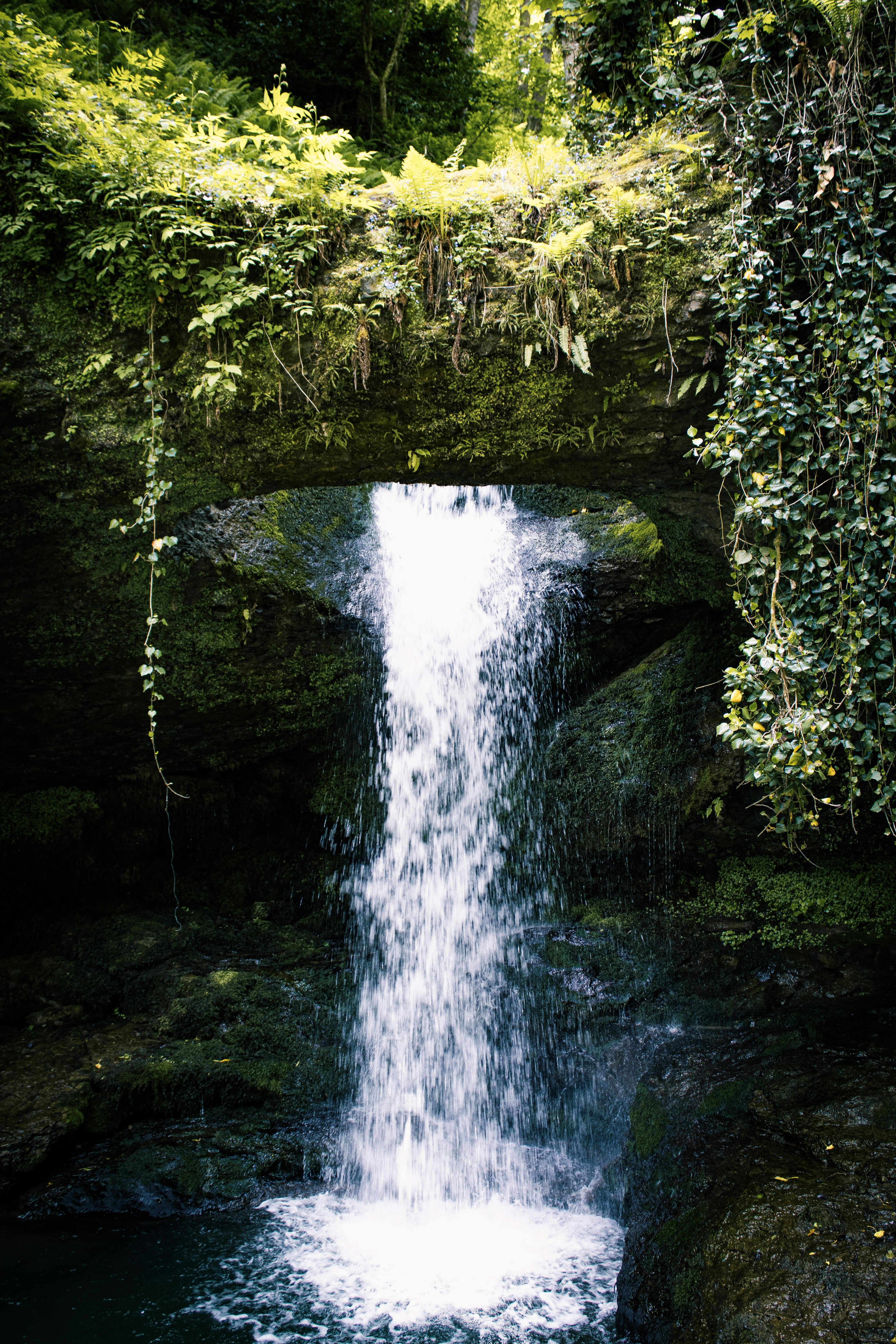 Hidden Cascade Under a Green Archway