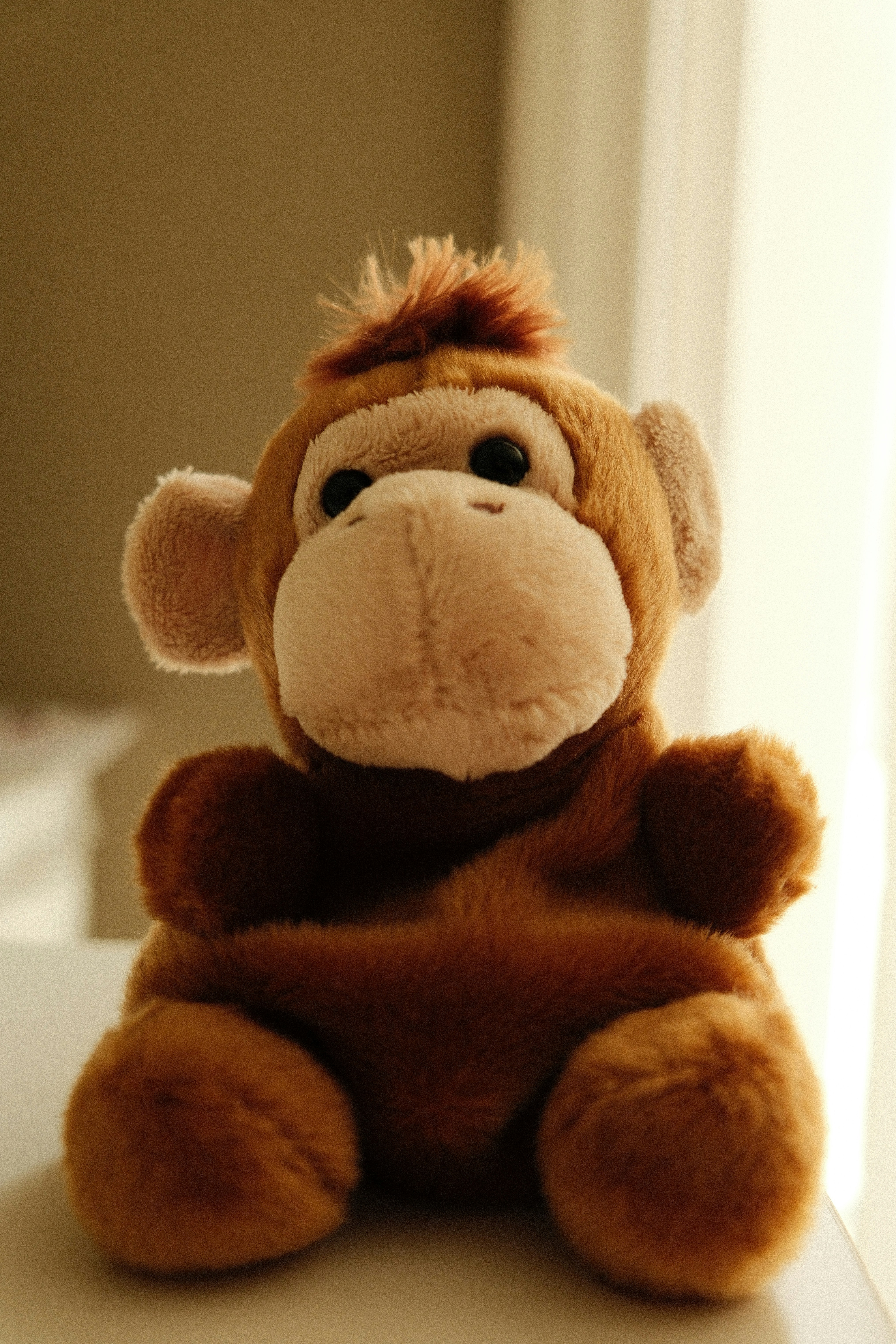 Curious Sock-Knit Companion: A Plush Monkey Centerstage
