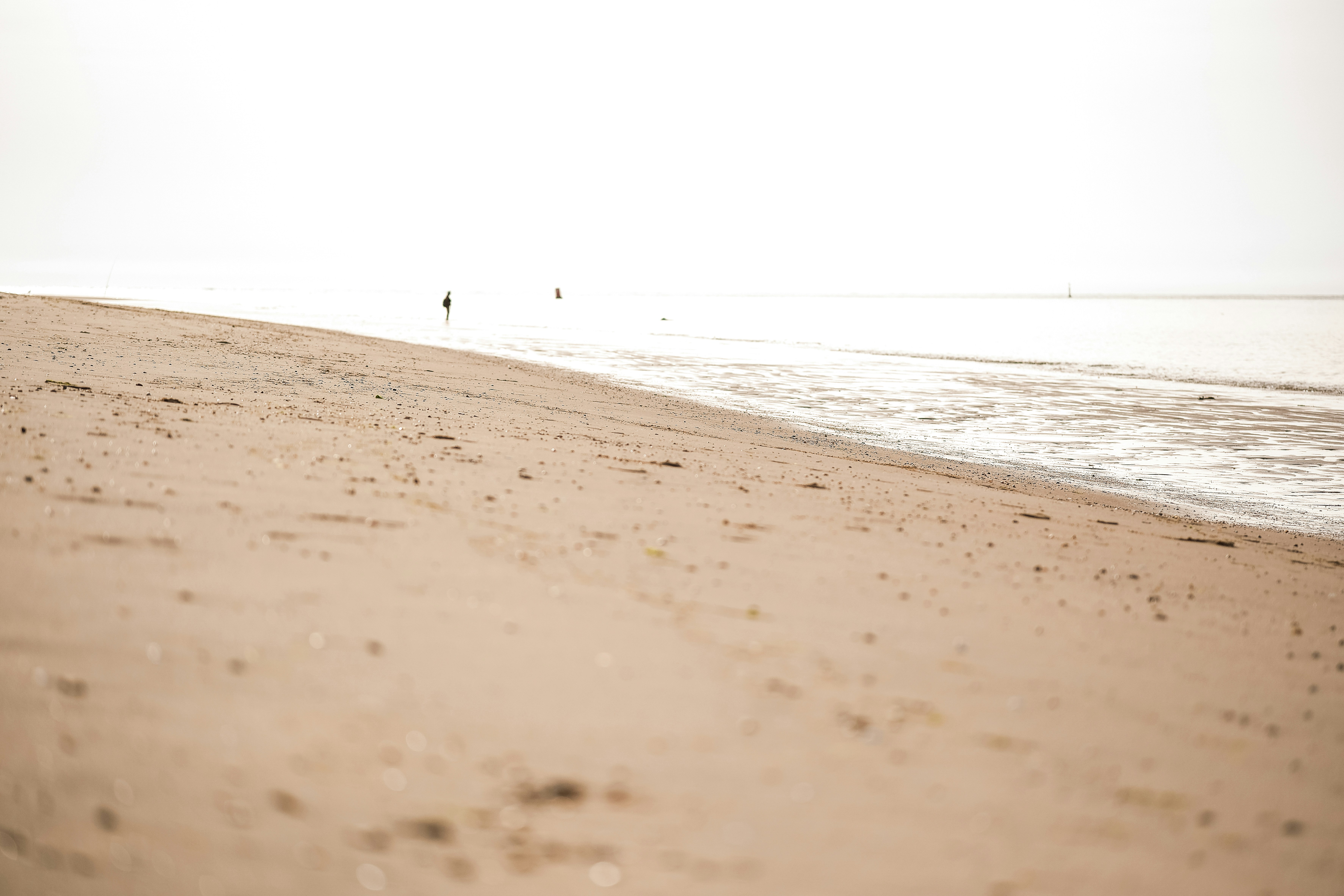 Lonely figures at the shoreline: a quiet seaside scene