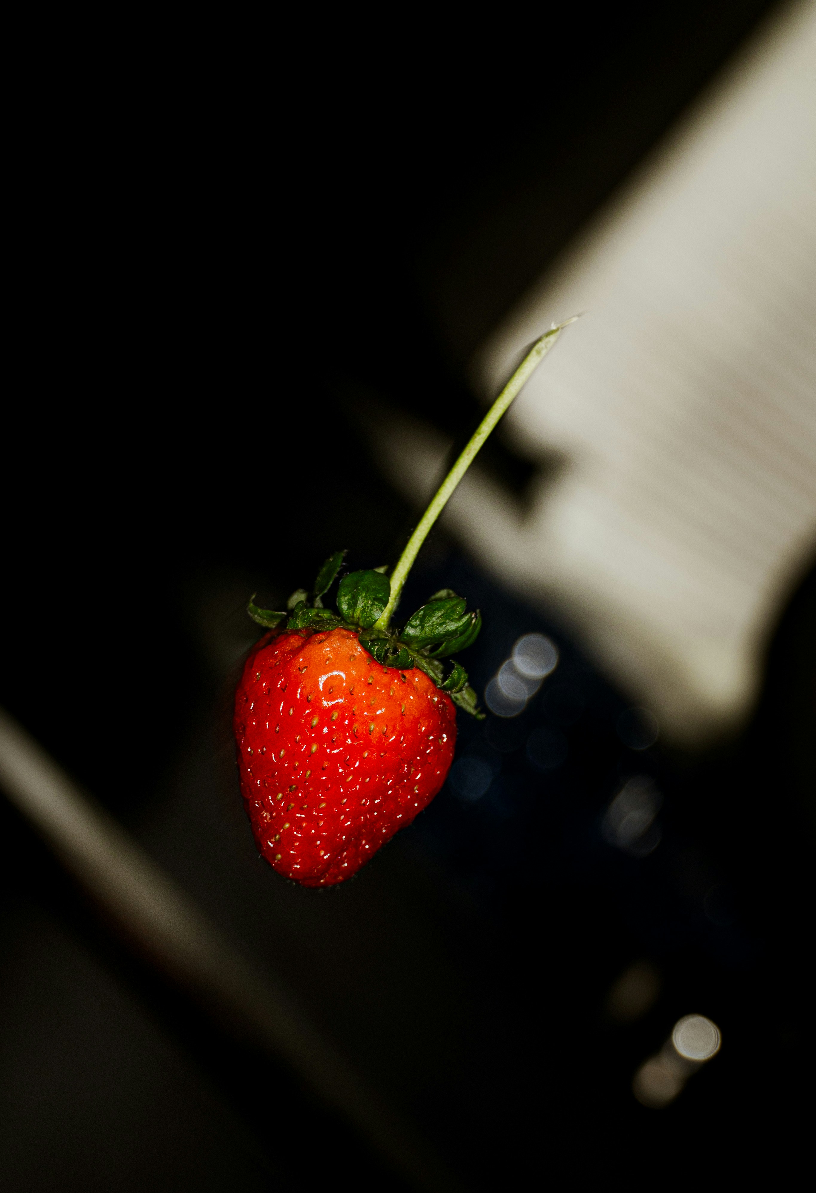 A single red strawberry with a green stem.