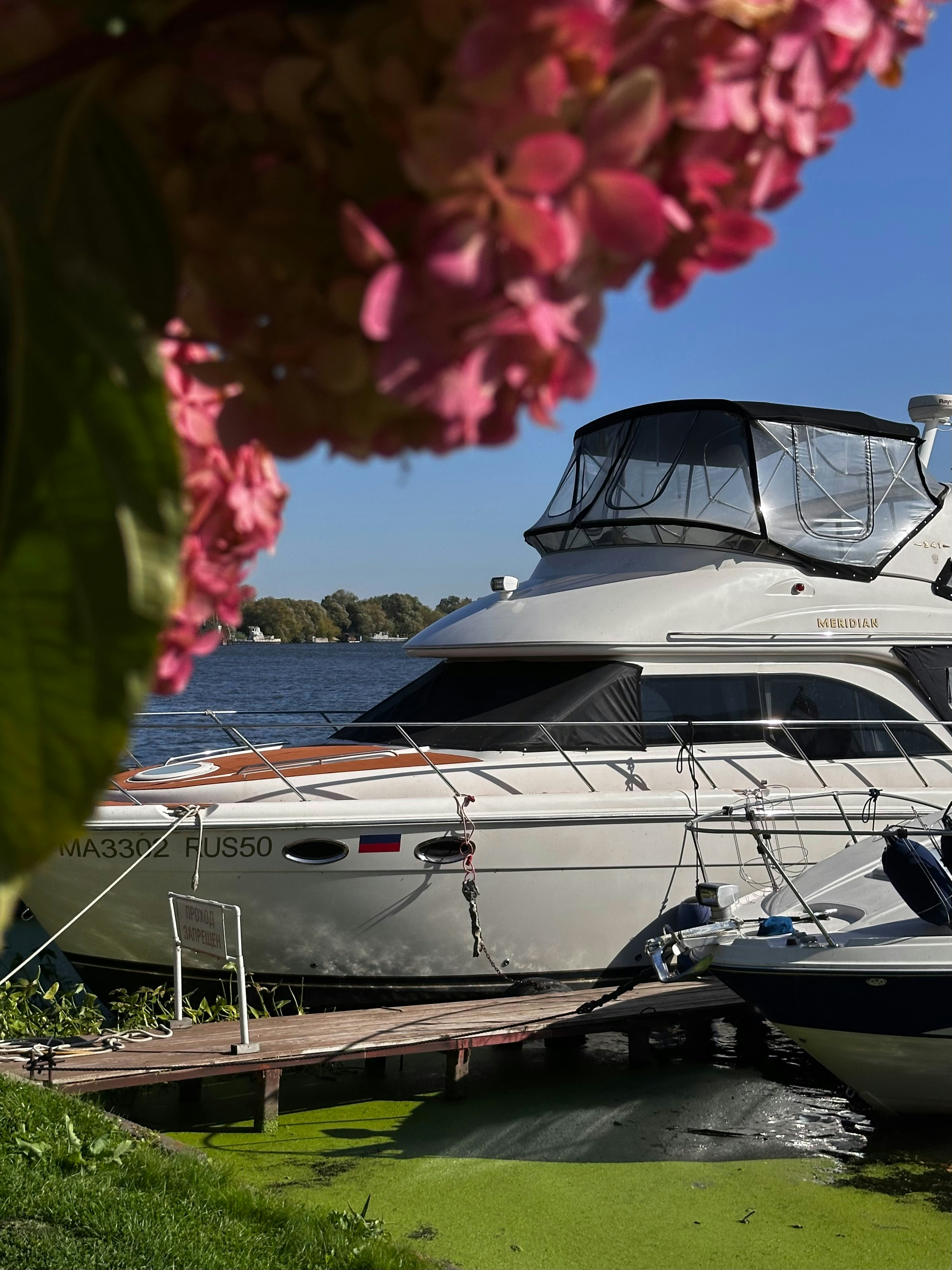 Dockside Majesty: A Powerboat Nestled by Hydrangea and Lake