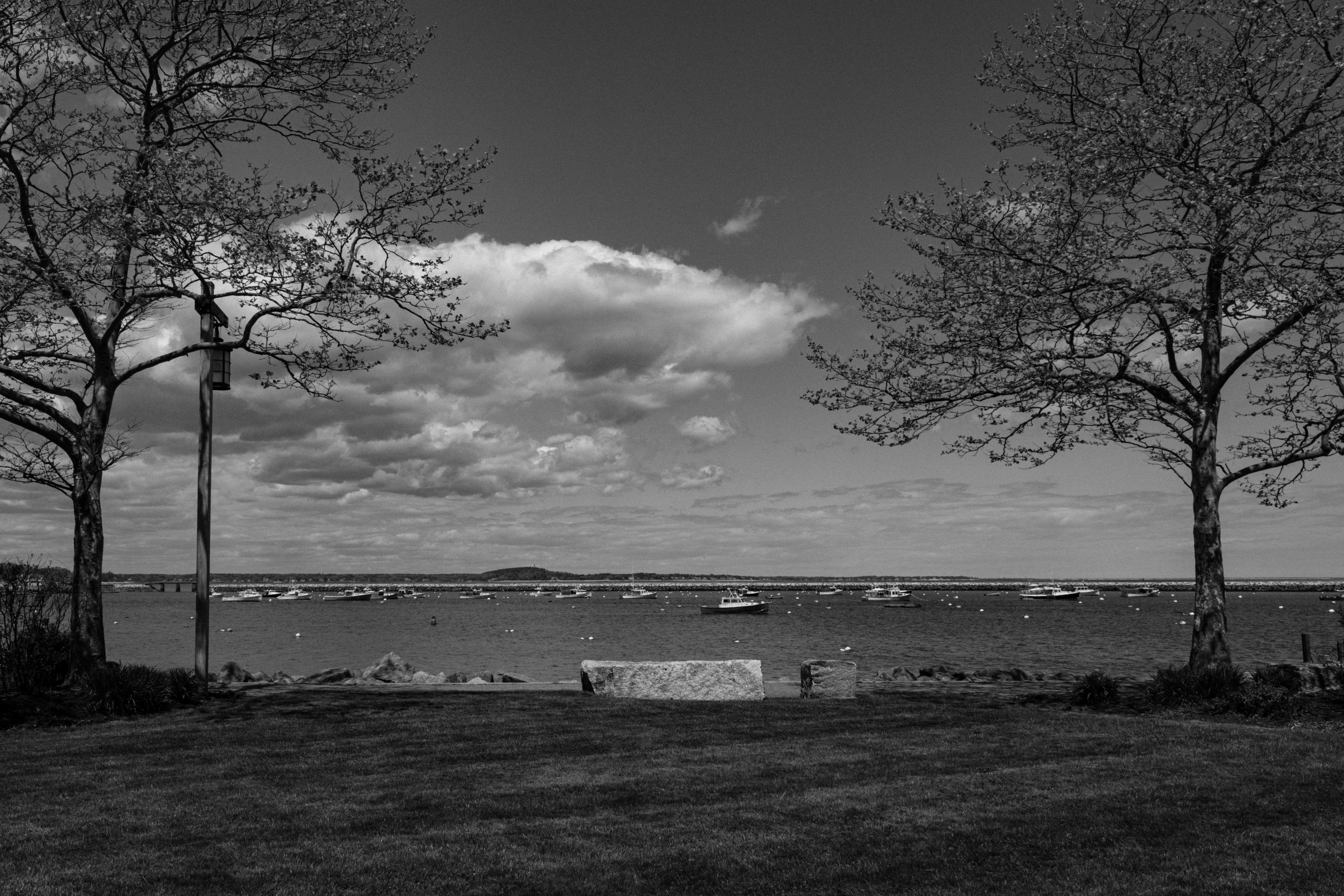 Calm Lakeside Moment: A Silhouette of Trees and Boats Against a Distant Horizon