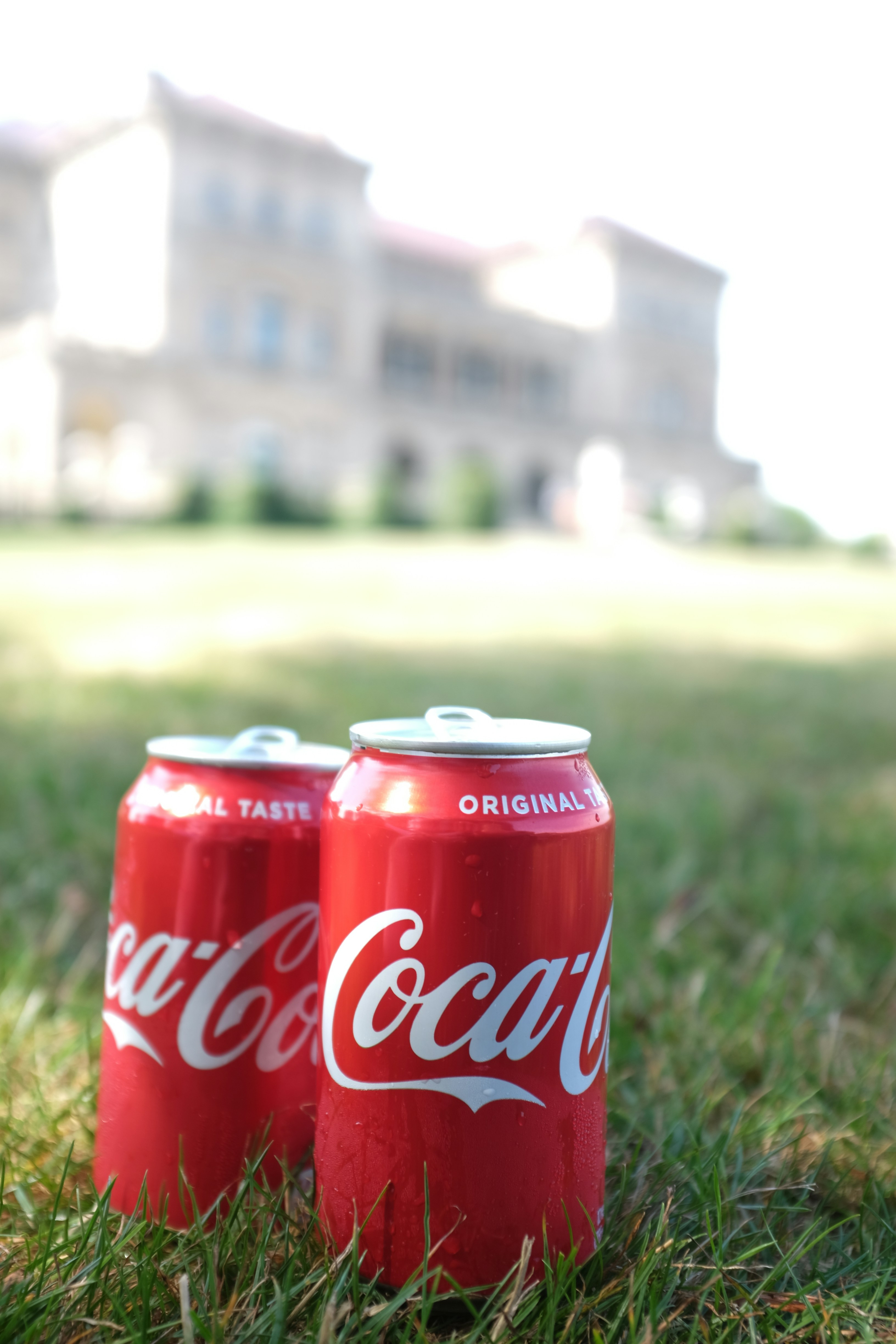 Coca-Cola Duo on the Lawn: Summer Picnic Still