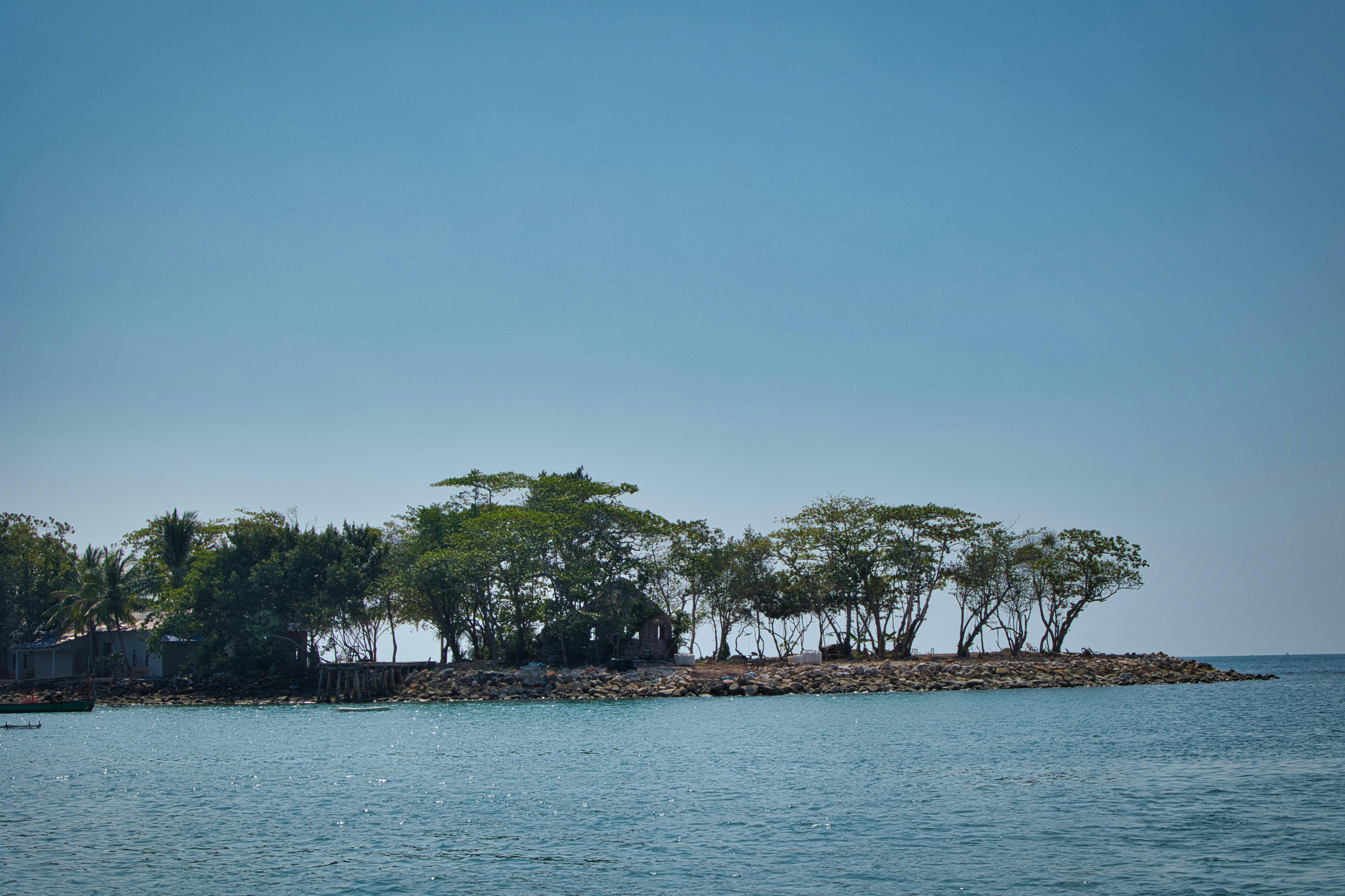 Island Vista: Trees Silhouetted on a Quiet Sea Edge