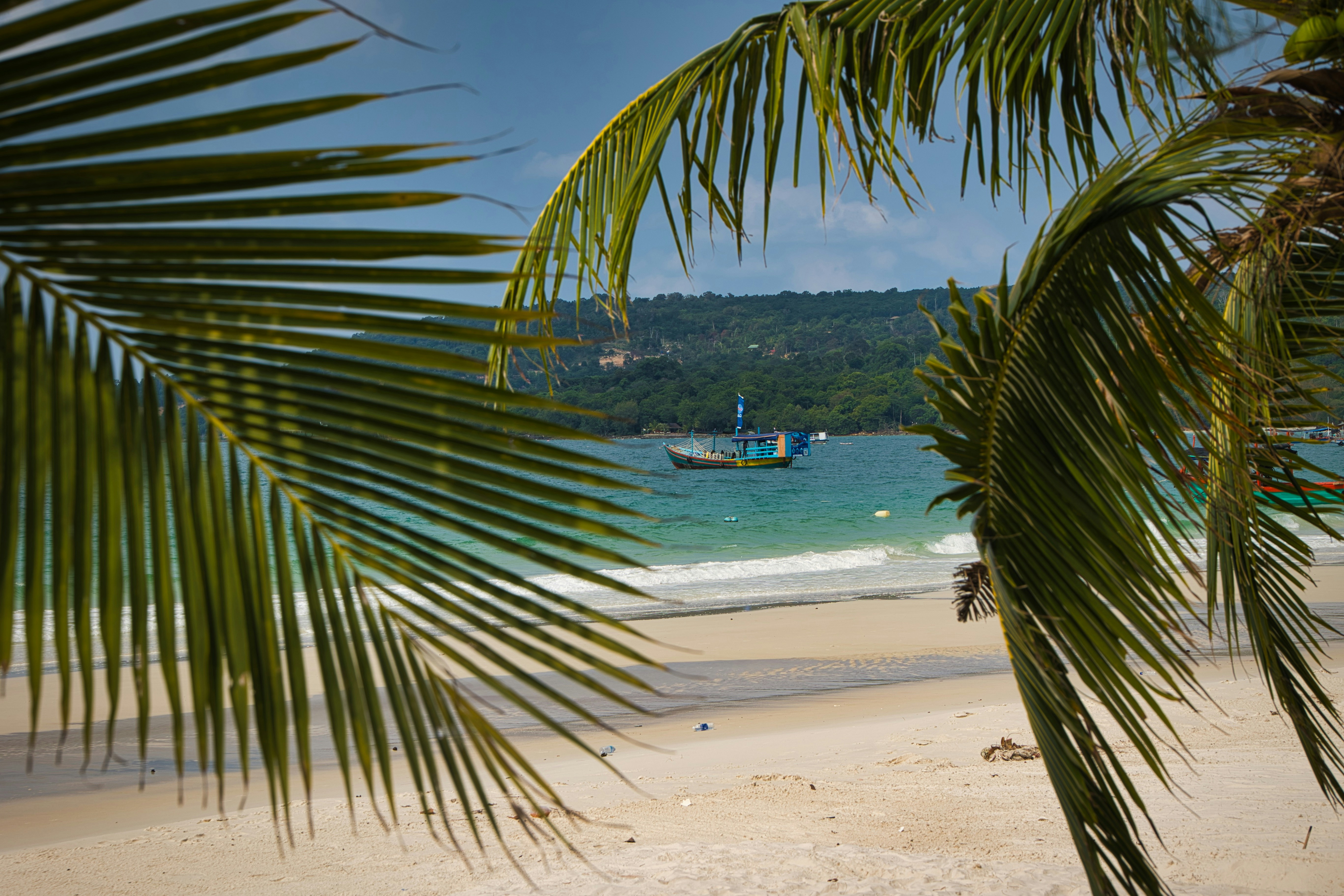 Framing the Lagoon: A Palm-arched Beach Under a Quiet Sea